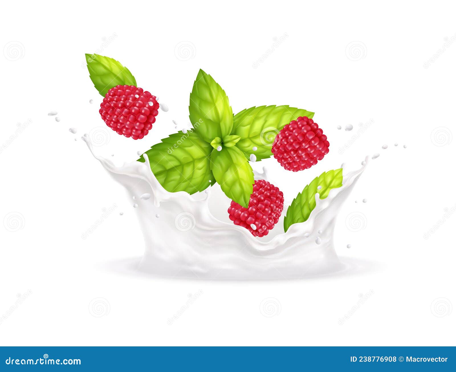 Raspberries Milk Splashes Illustration Stock Vector - Illustration of ...