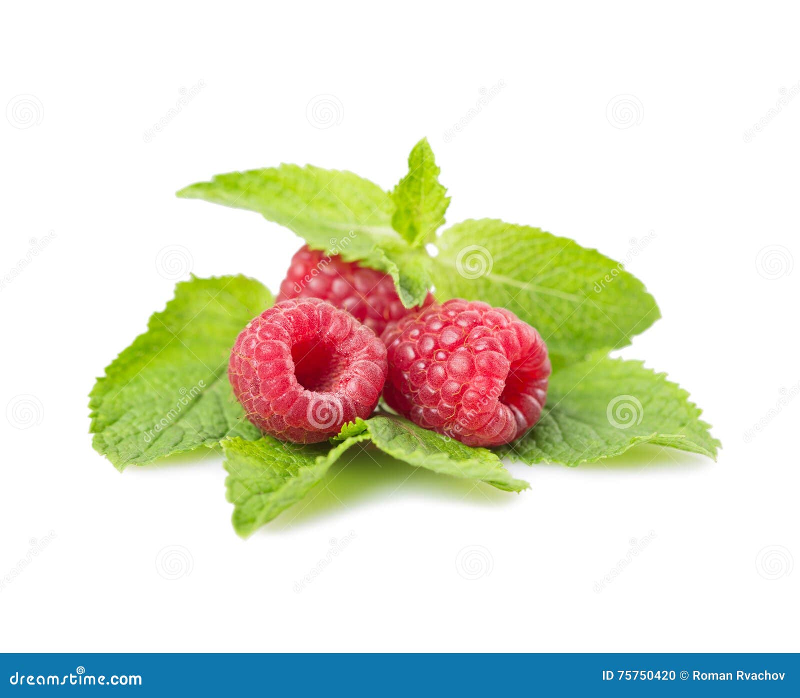Raspberries and Mint Leaves on a White Background. Isolated Stock Photo ...