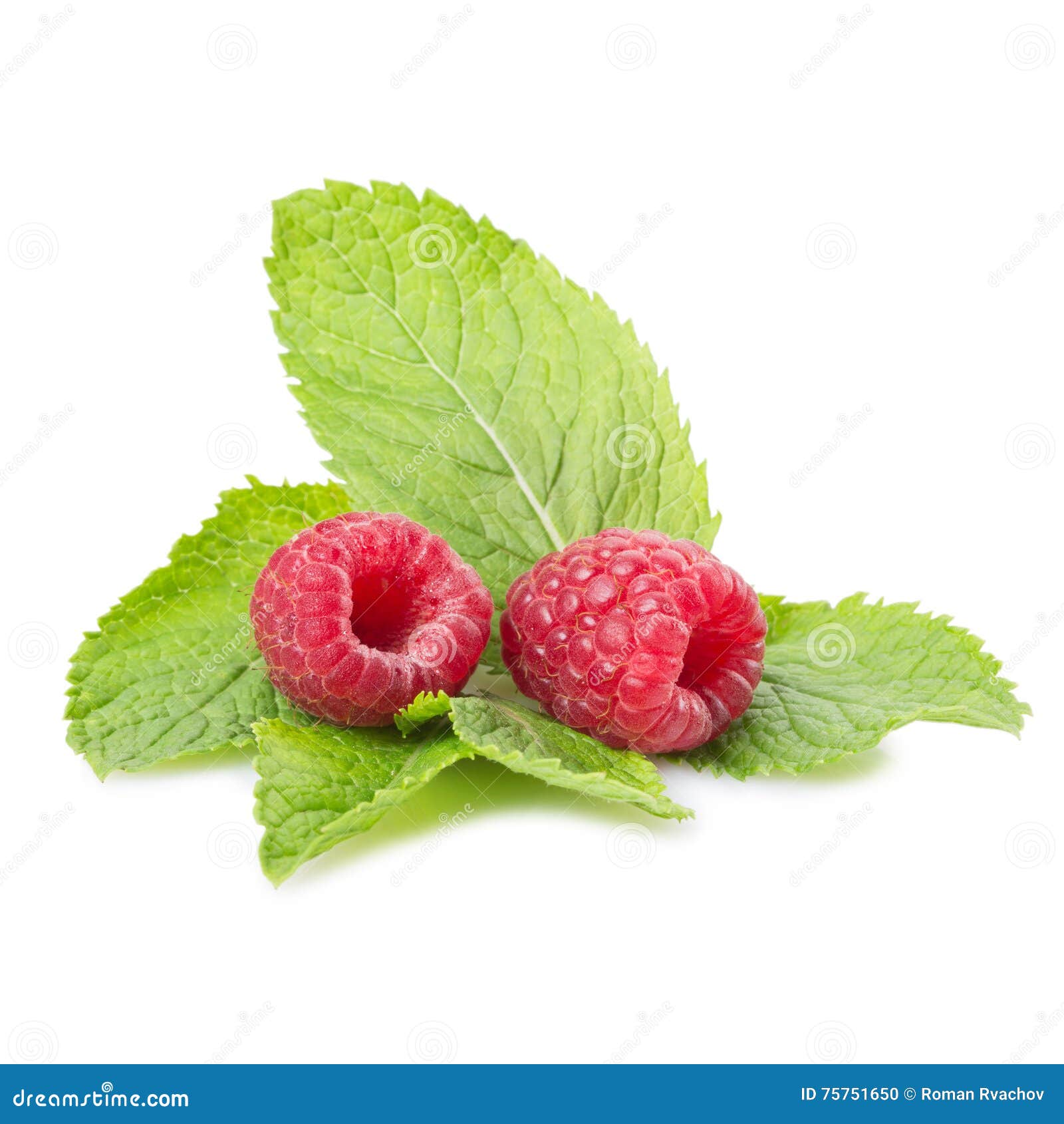 Raspberries and Mint Leaves on a White Background. Isolated Stock Photo ...
