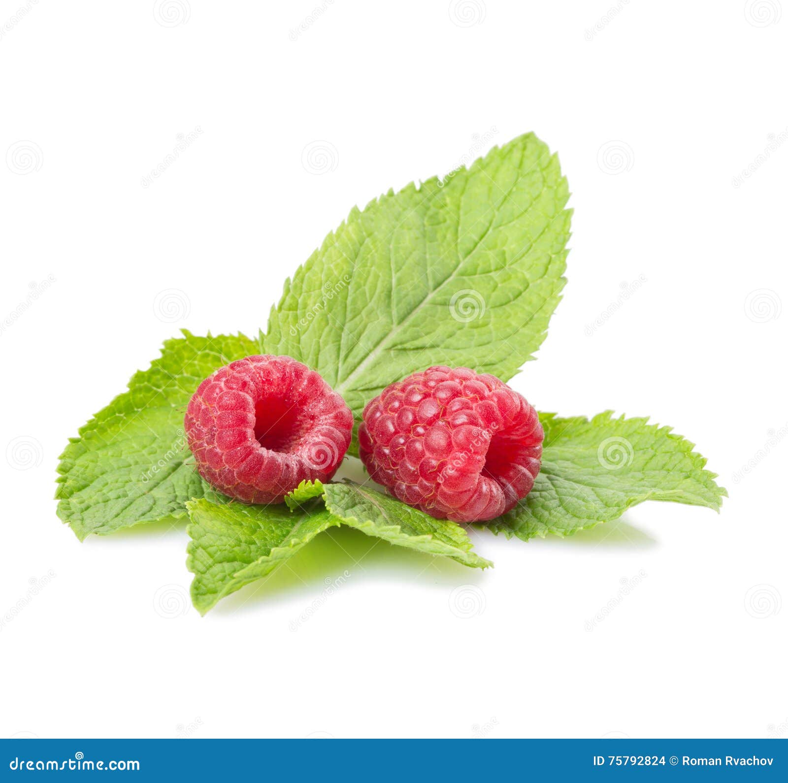 Raspberries and Mint Leaves on a White Background. Isolated Stock Photo ...