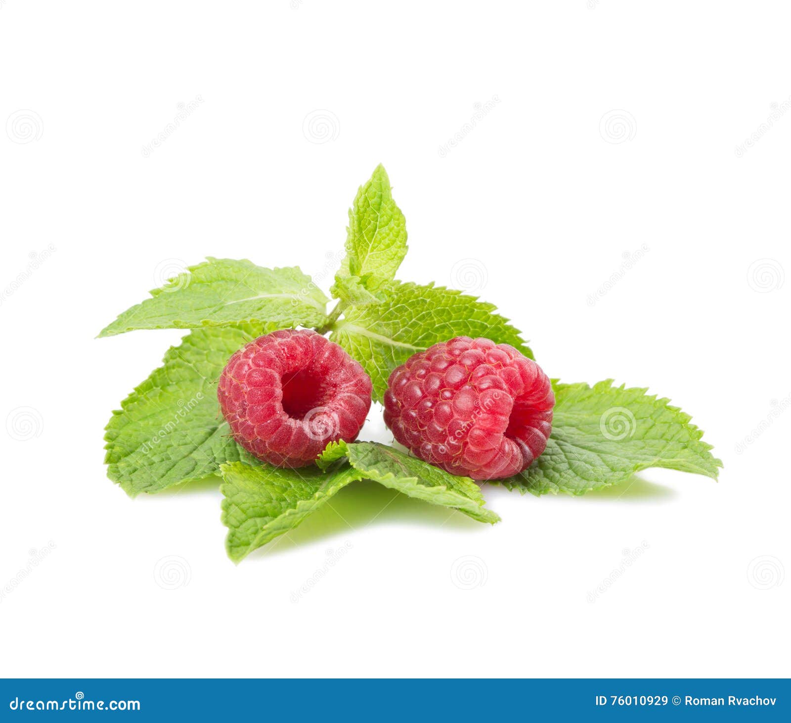 Raspberries and Mint Leaves on a White Background. Stock Image - Image ...