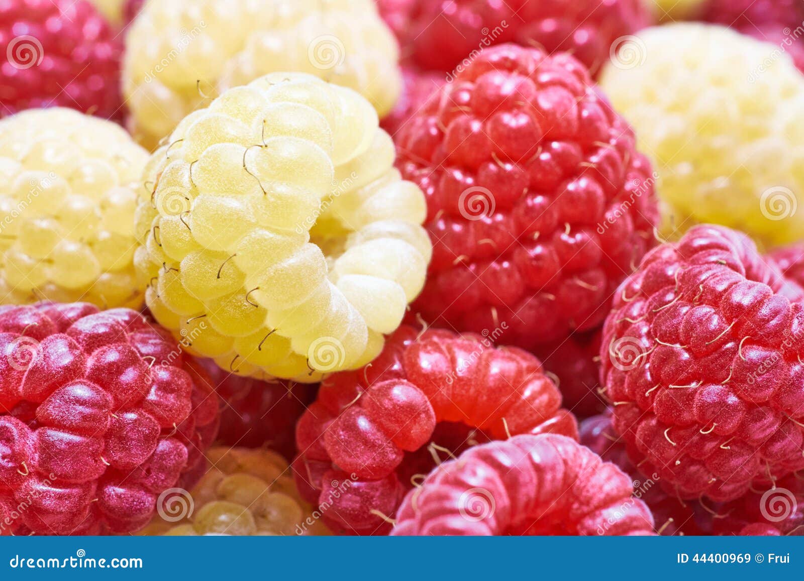 Raspberries stock image. Image of raspberry, sweet, dessert - 44400969