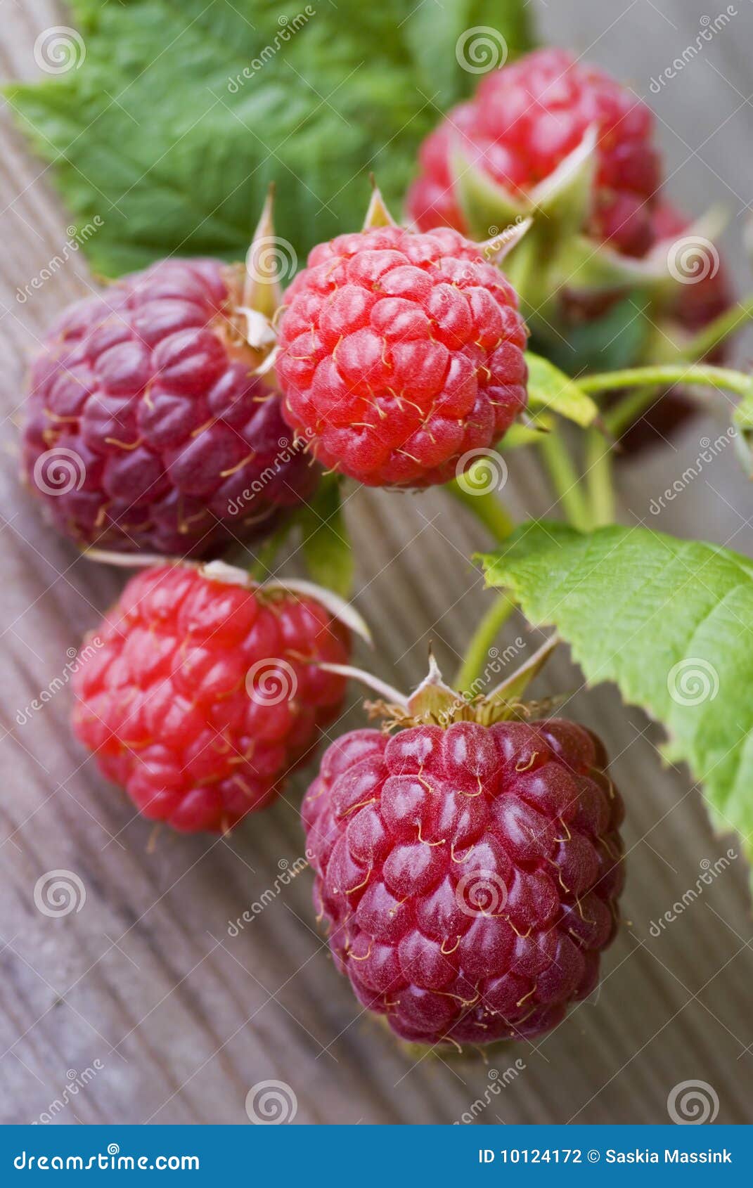 13,715 Beautiful Raspberries Stock Photos - Free & Royalty-Free Stock ...