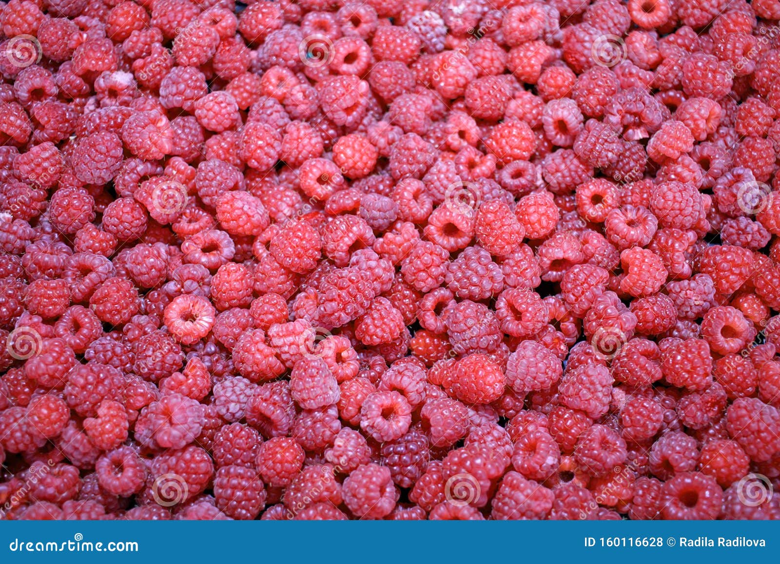 Raspberries Pattern. Fresh Organic Raspberry Background. Healthy Eating ...