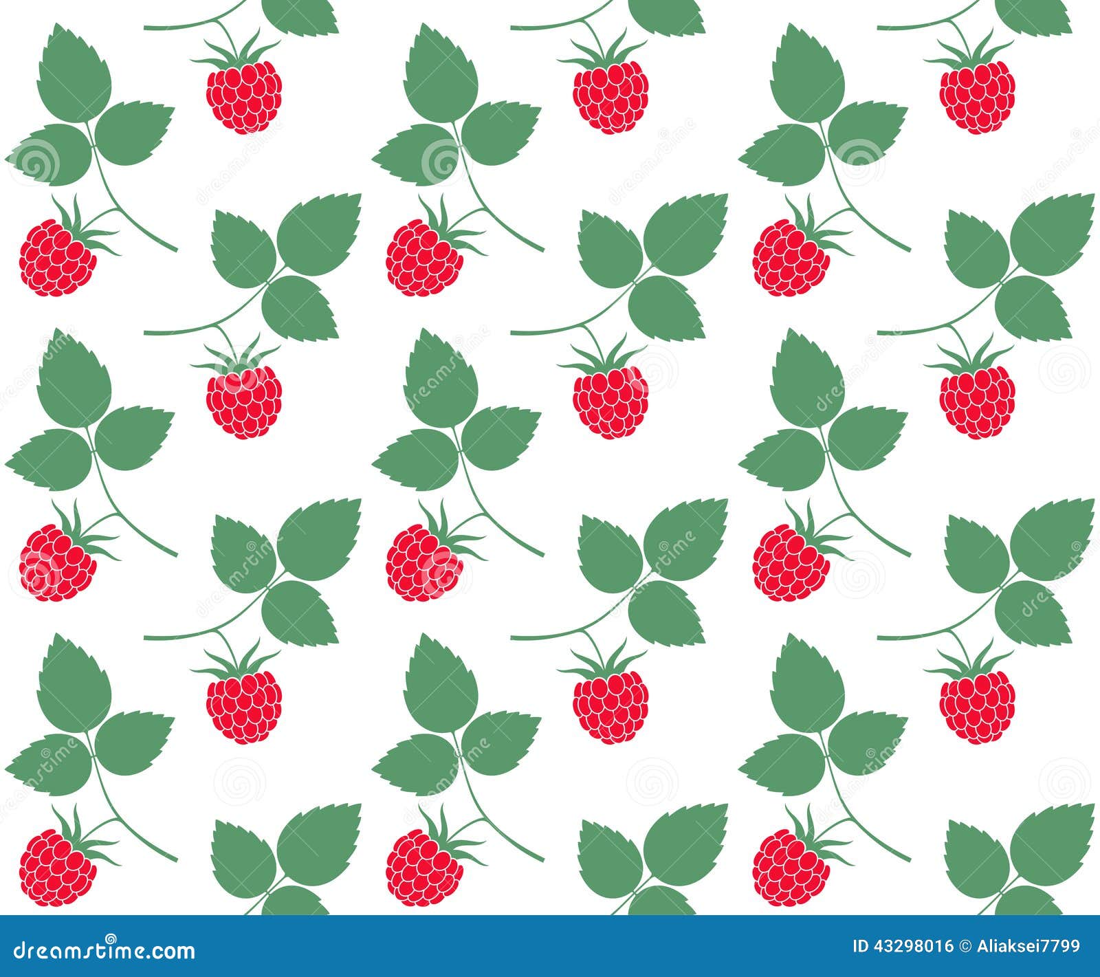 Raspberries. Pattern stock vector. Illustration of plant - 43298016