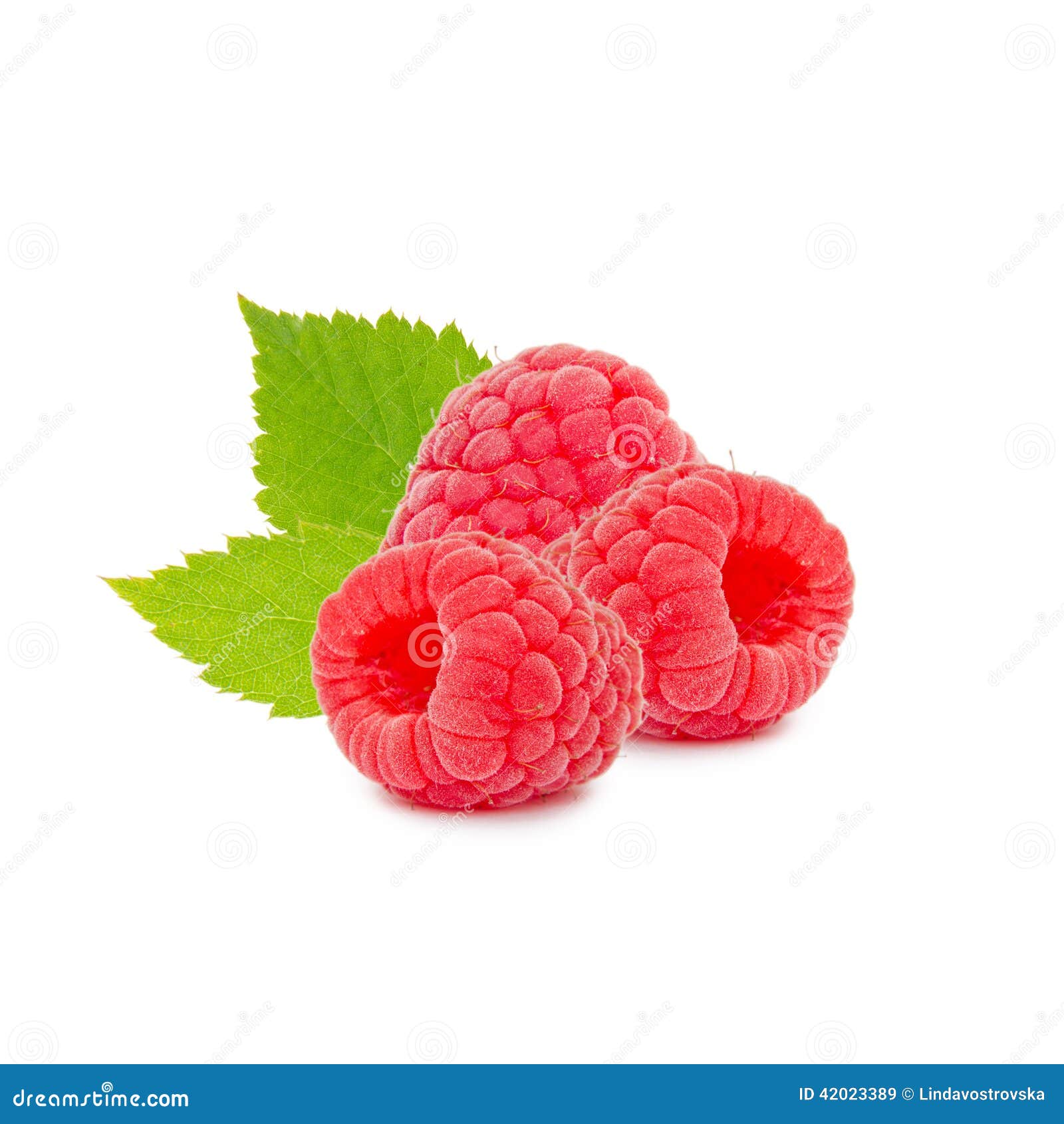Raspberries stock image. Image of raspberry, juicy, raspberries - 42023389
