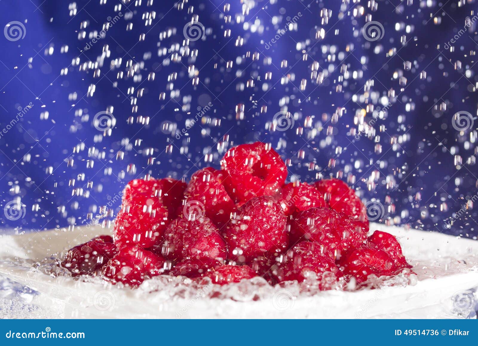 Raspberries in the Rain stock photo. Image of rain, studio - 49514736