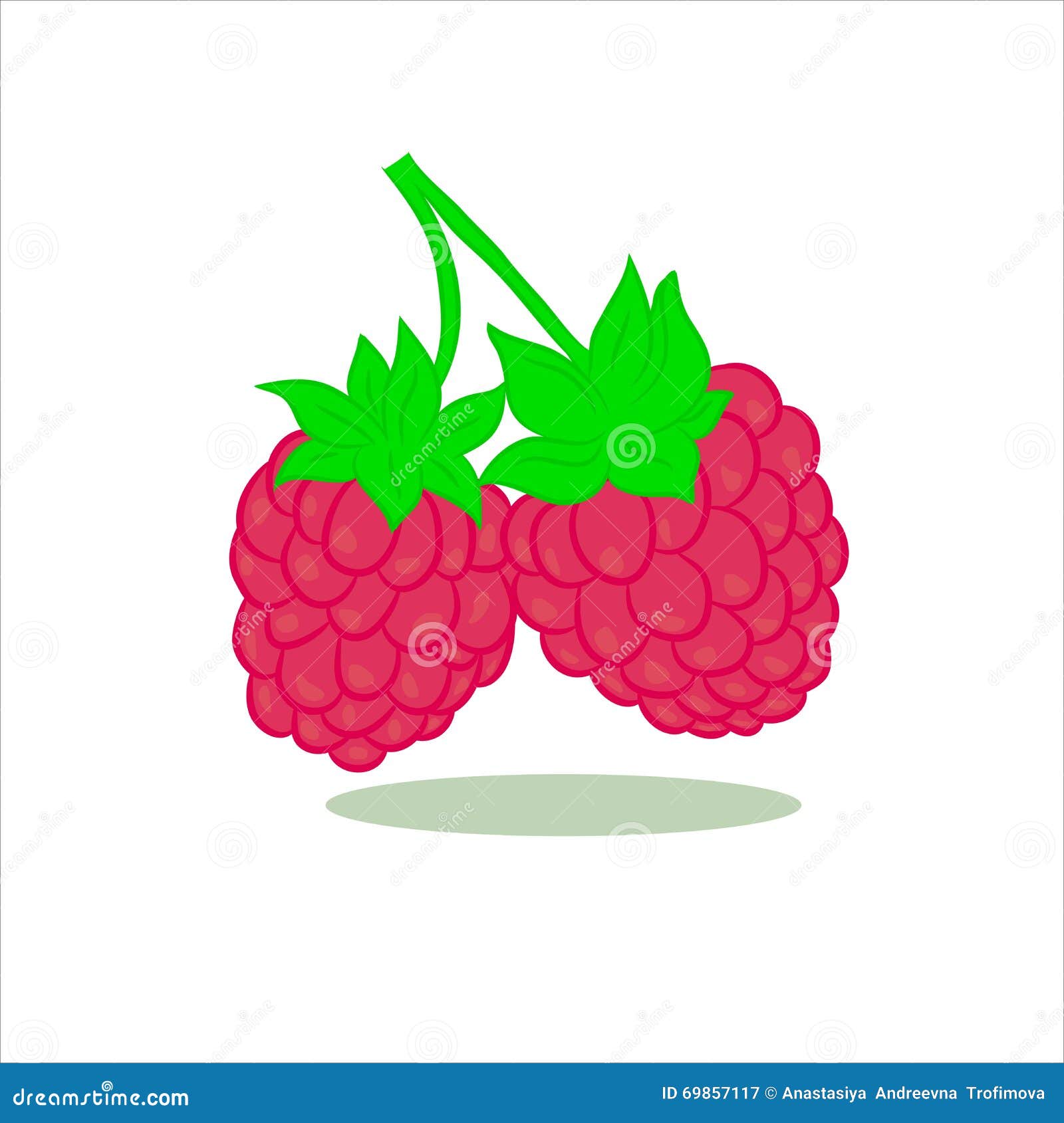 Raspberries stock vector. Illustration of direction, nourishment - 69857117
