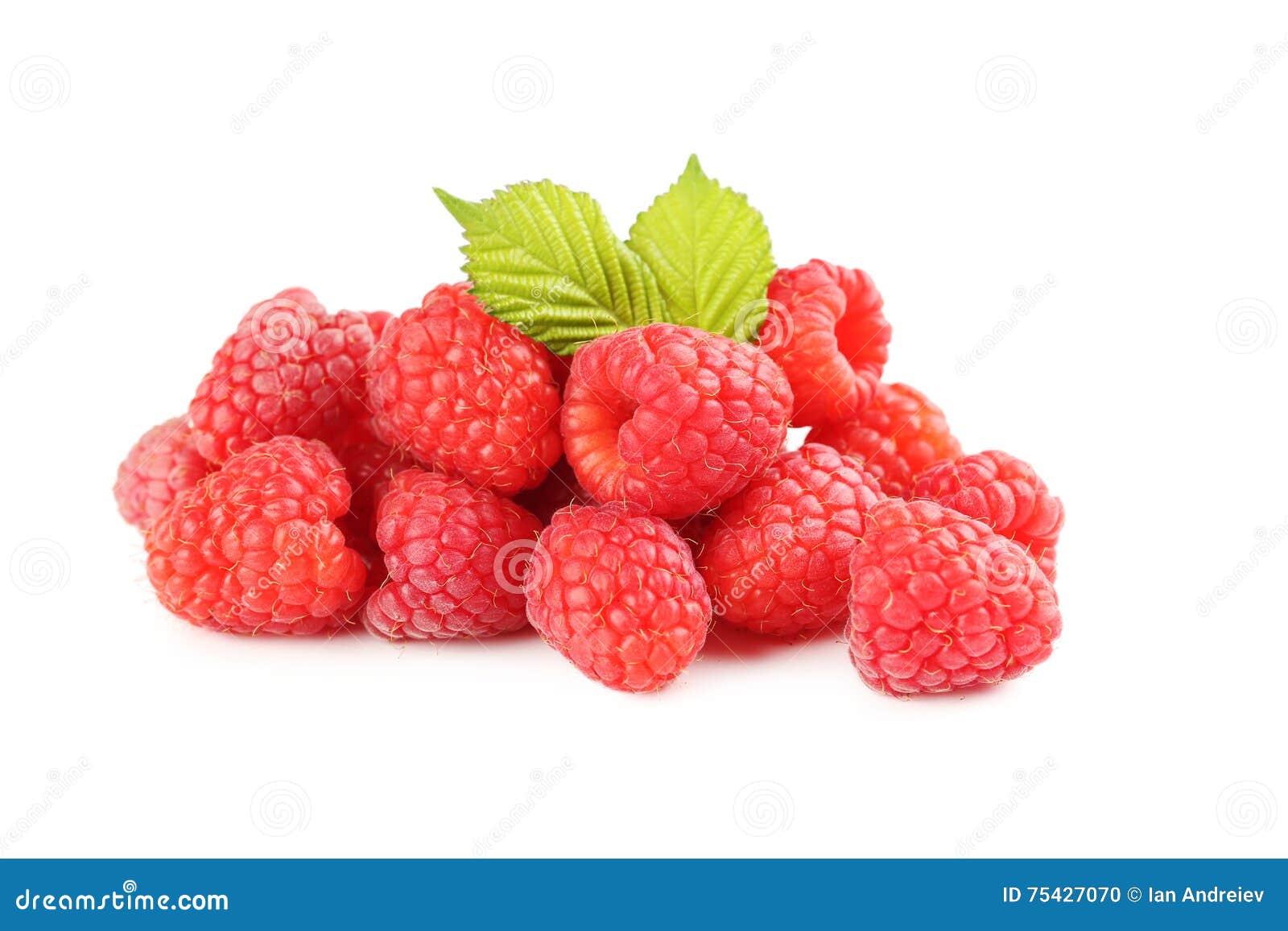 Raspberries stock photo. Image of ingredient, garden - 75427070