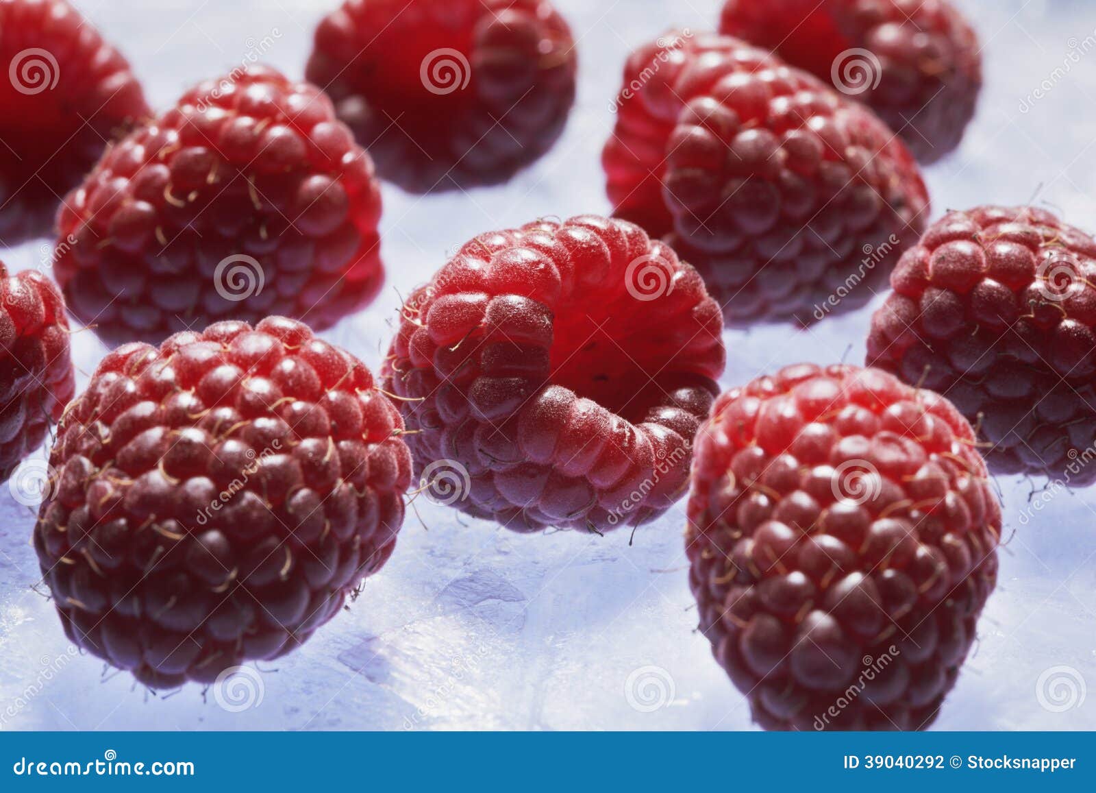 Raspberries stock photo. Image of freeze, berry, fruit - 39040292