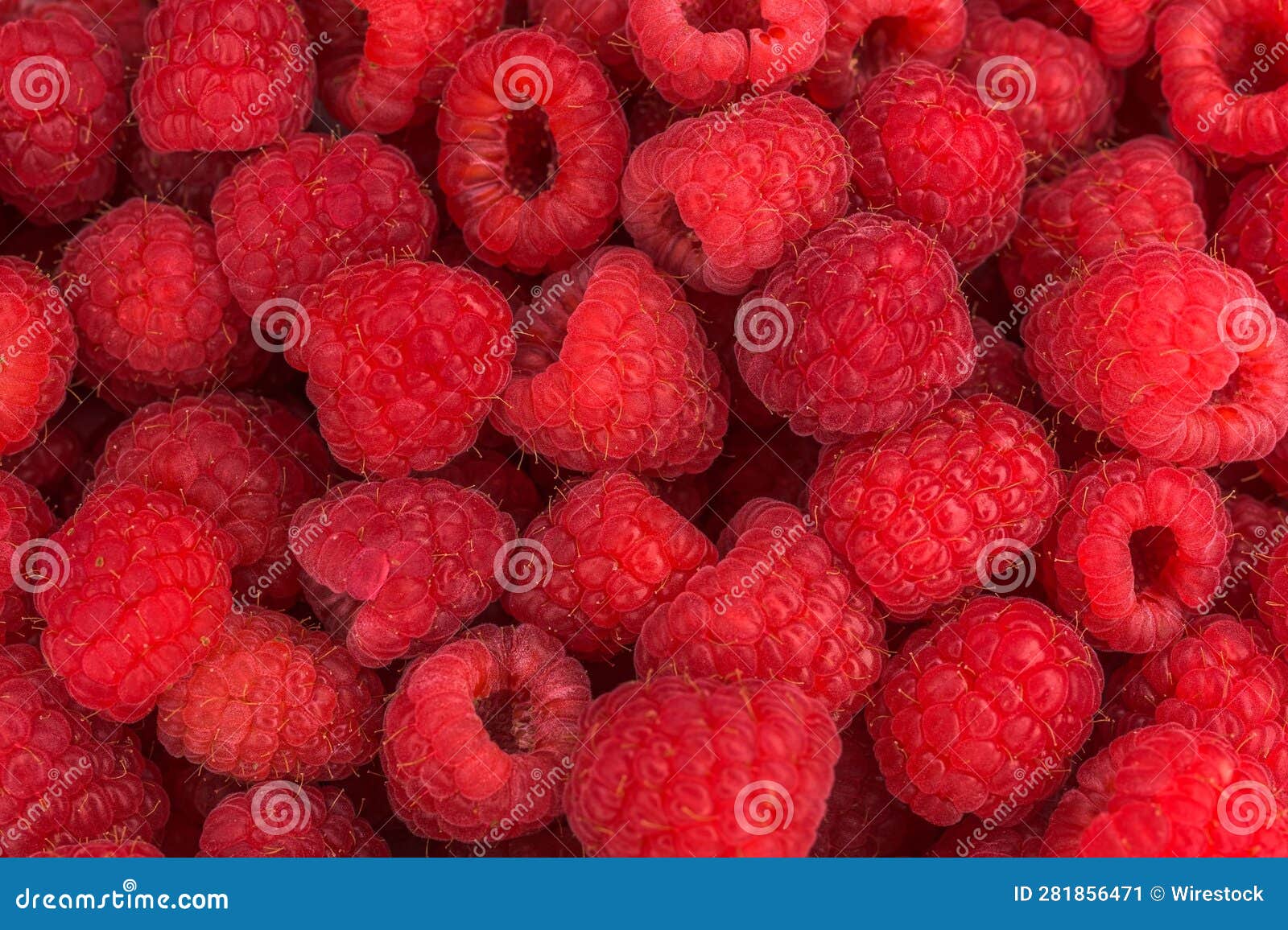 Raspberries are Shown in this Close - Up Shot Stock Image - Image of ...