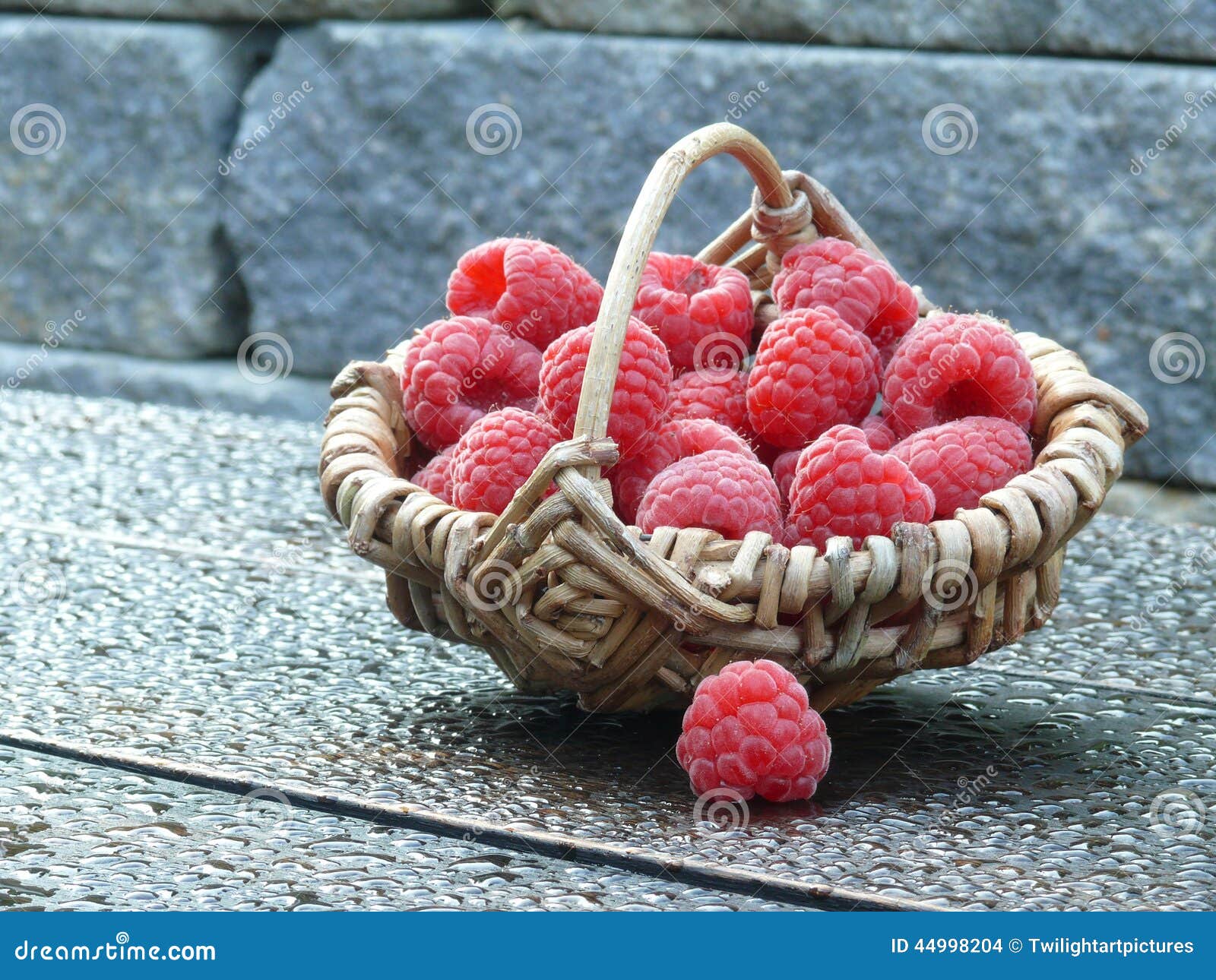 Raspberries stock photo. Image of fruity, small, underground - 44998204