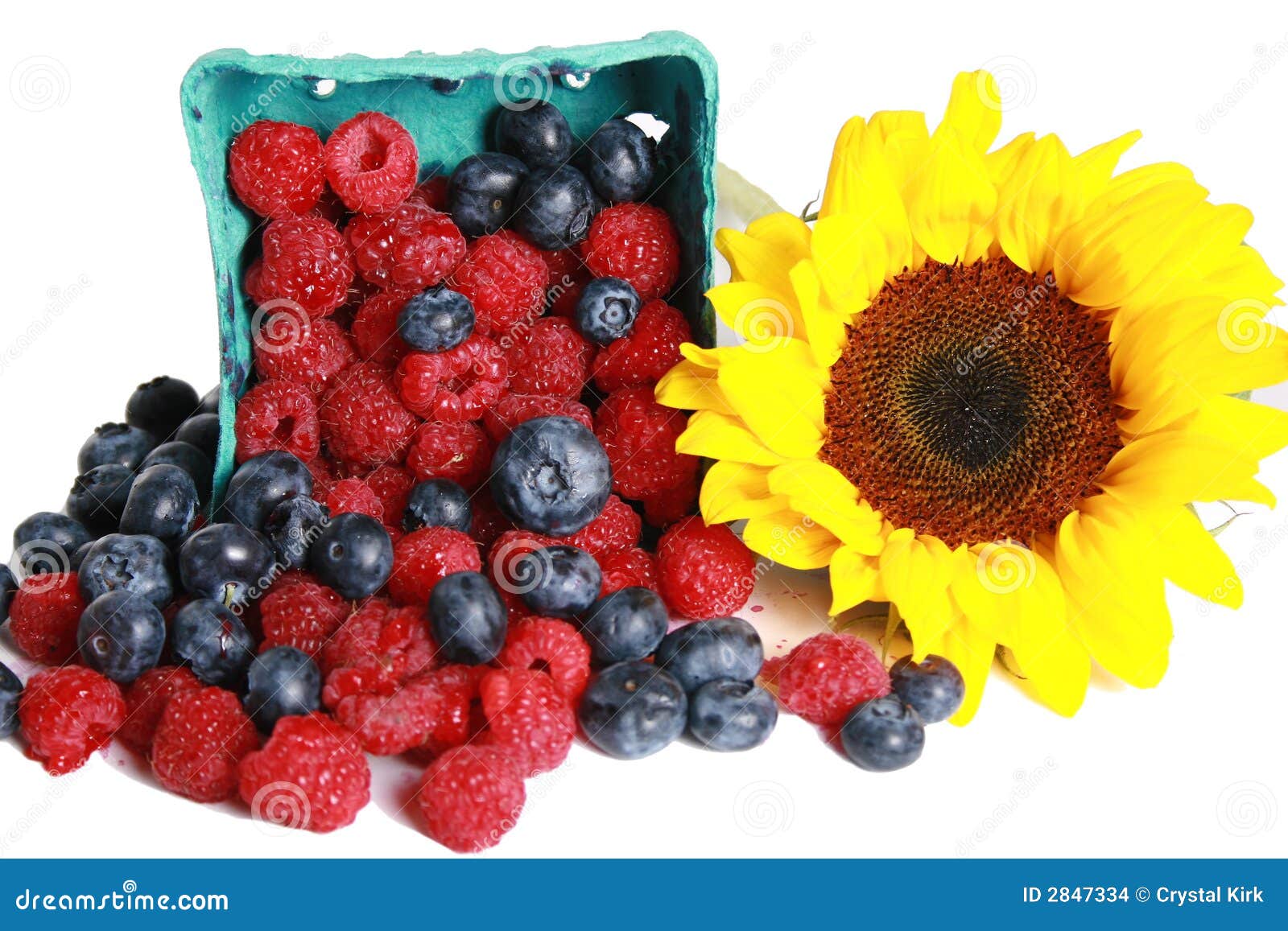 Raspberries and Sunflower stock photo. Image of floral - 2847334