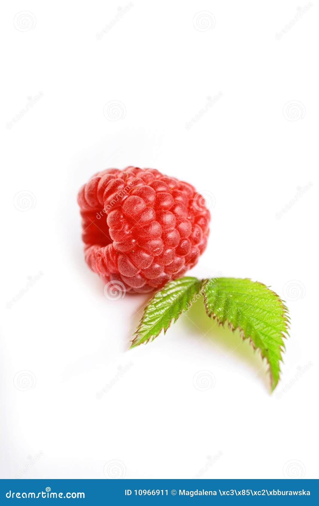 Raspberries on White Background Stock Image - Image of sweet, macro ...