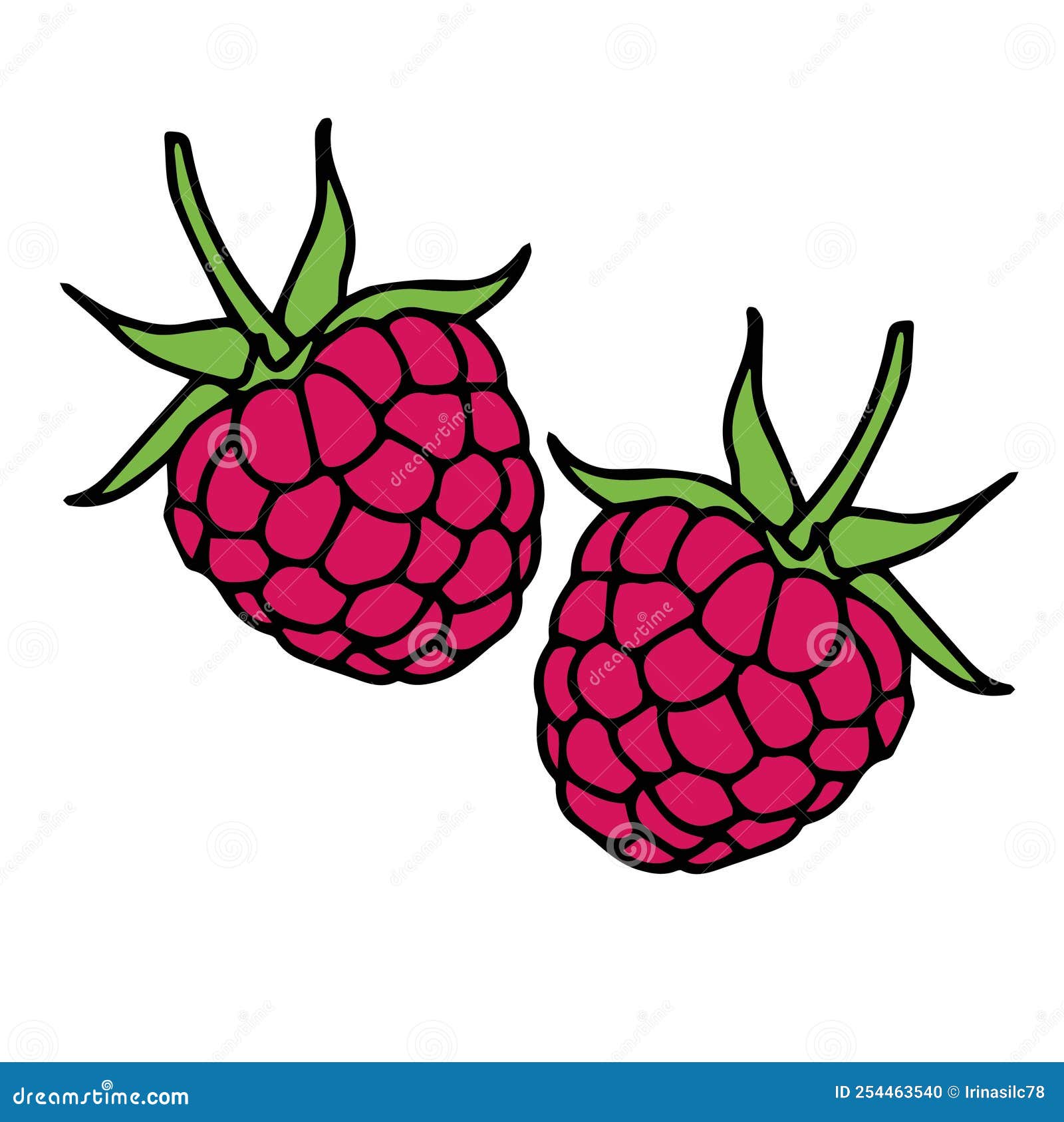 2 Raspberries . Vector Illustration Stock Illustration - Illustration ...