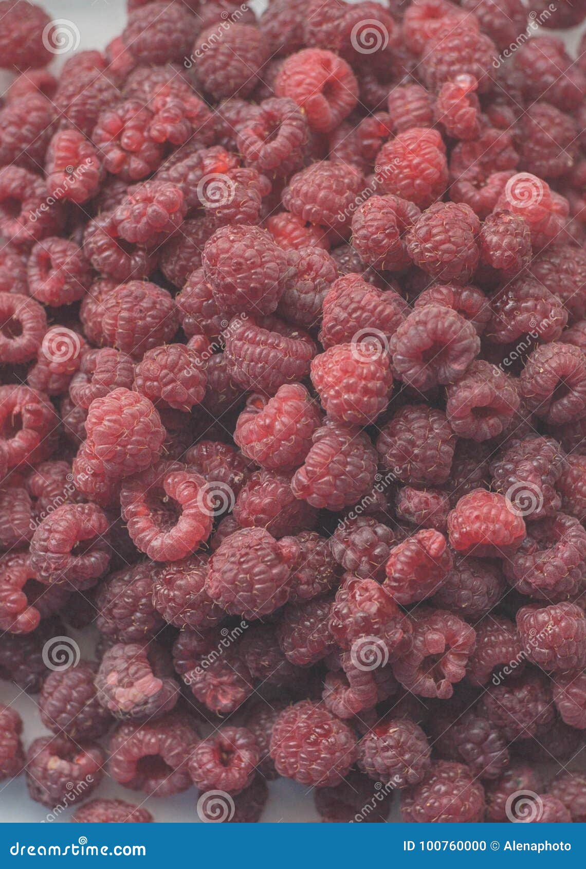 Raspberrry foto de archivo. Imagen de blanco, casero - 100760000