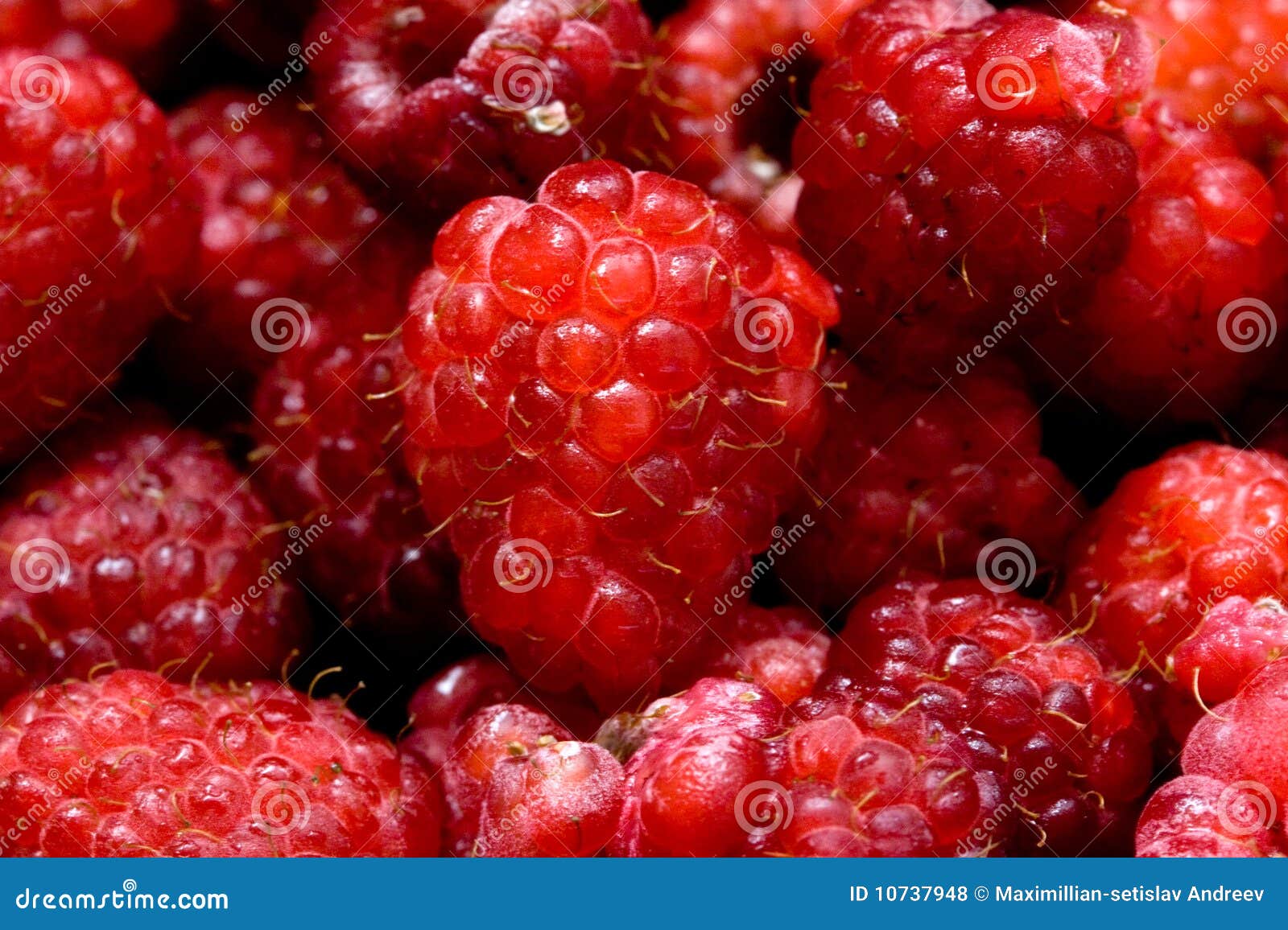 Raspberry stock photo. Image of organic, close, freshness - 10737948
