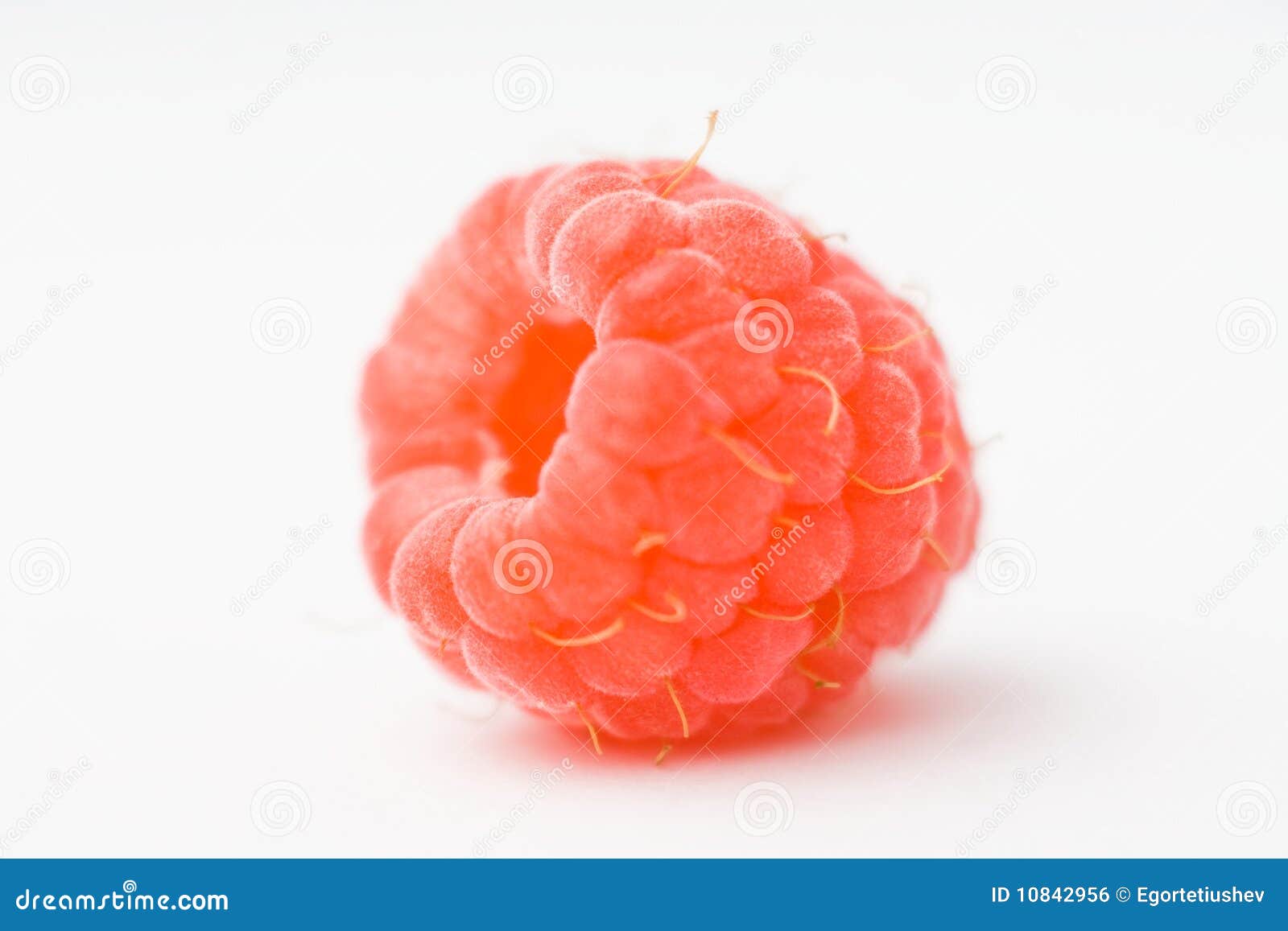 Raspberry stock photo. Image of juicy, single, closeup - 10842956