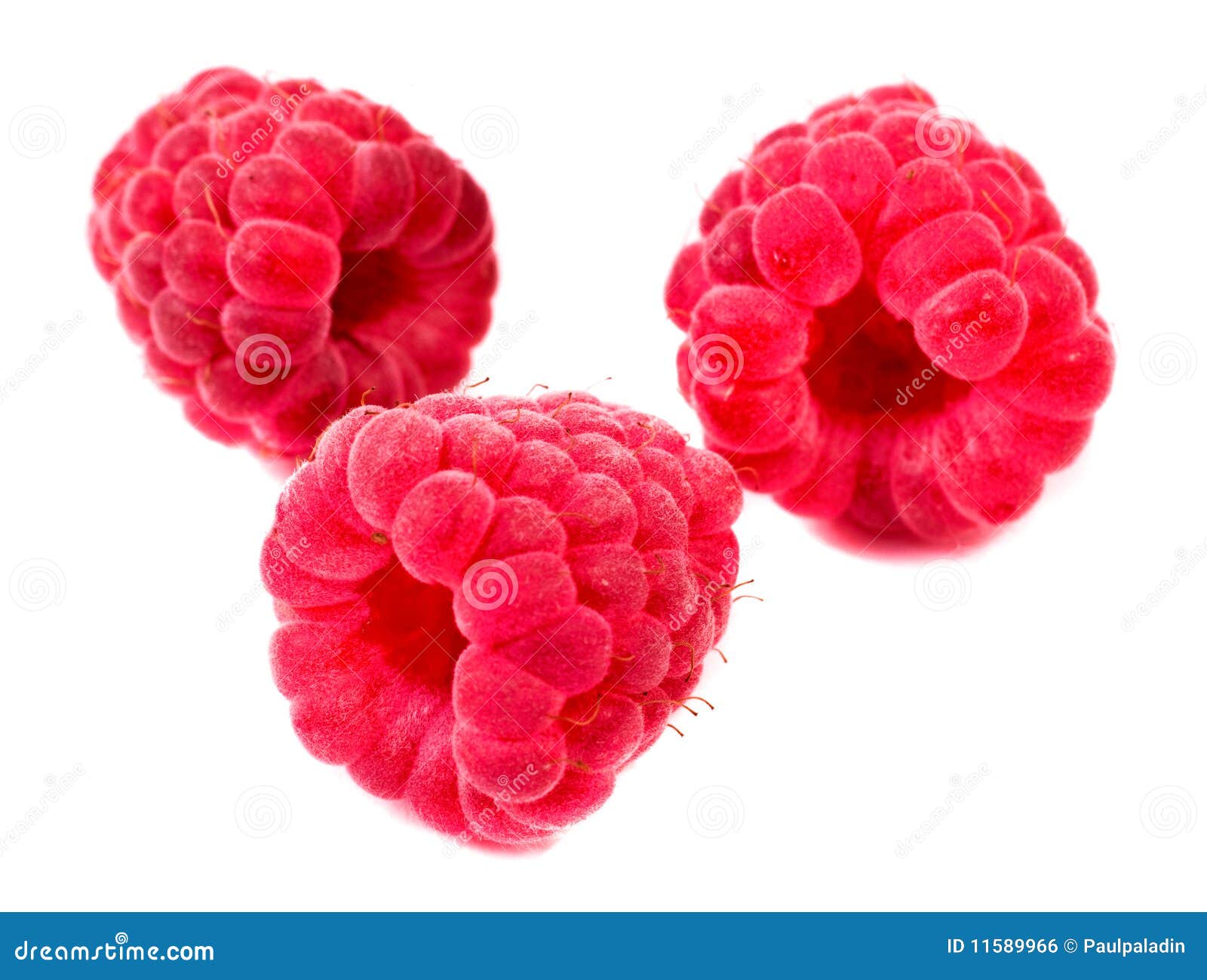 Raspberry stock photo. Image of taste, flavor, sweet - 11589966