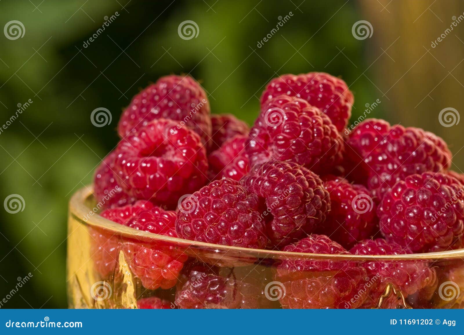 Raspberry stock photo. Image of tasty, glass, dessert - 11691202