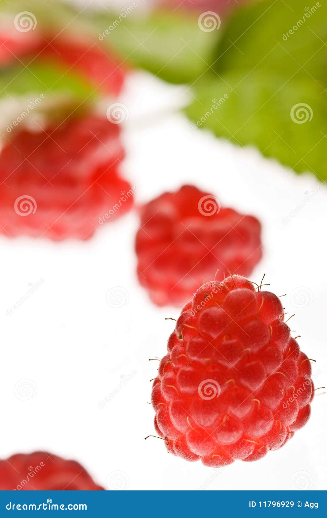 Raspberry stock image. Image of dessert, ripe, nutrition - 11796929