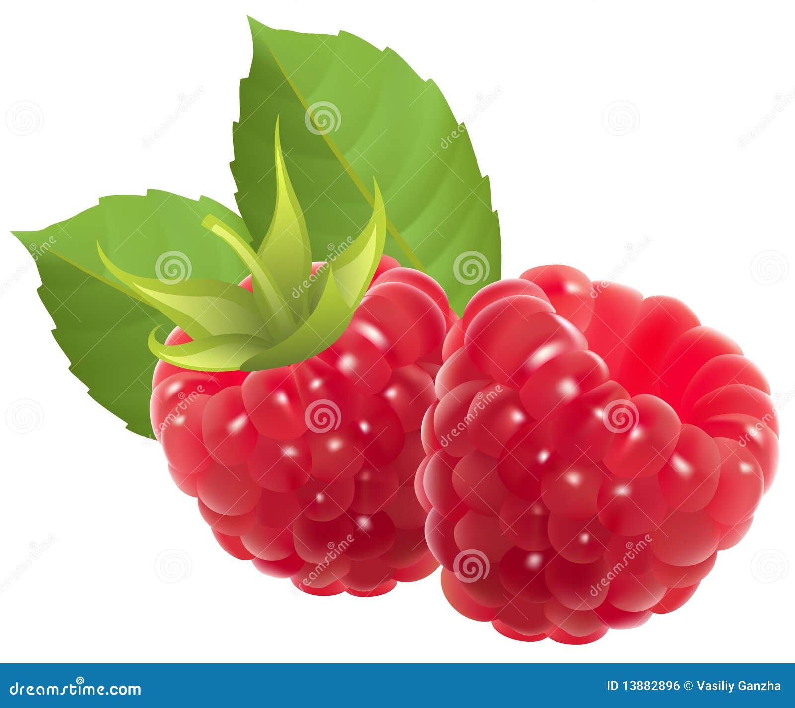 Raspberry Cartoons, Illustrations & Vector Stock Images - 193329 ...