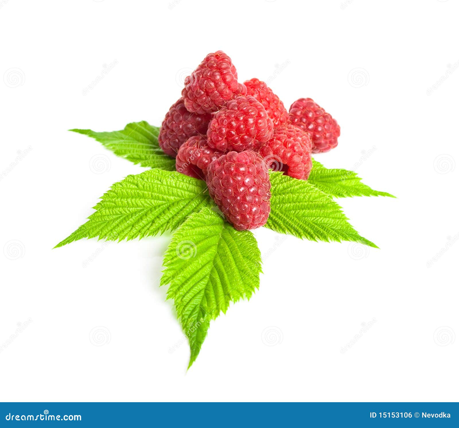 Raspberry stock photo. Image of healthy, closeup, juicy - 15153106