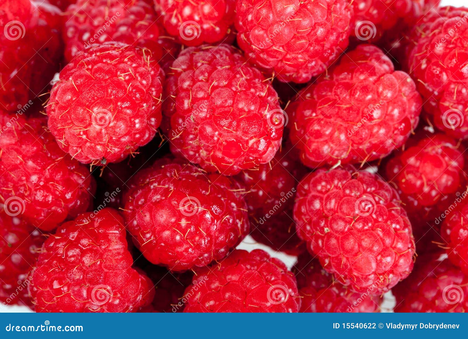 Raspberry stock photo. Image of close, leaf, freshness - 15540622