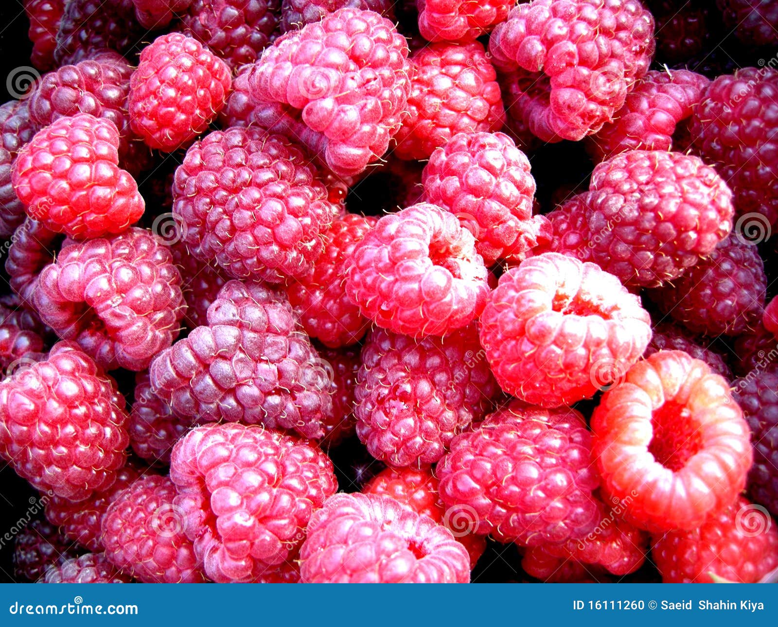 Raspberry stock photo. Image of macro, white, snack, pink - 16111260