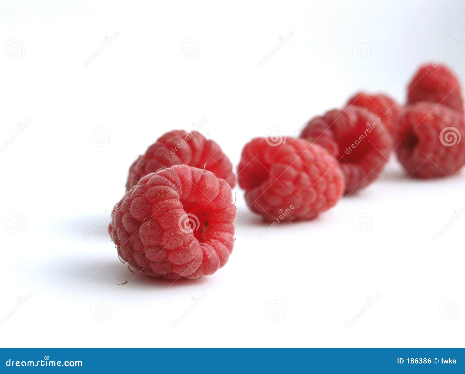 Raspberry stock photo. Image of natural, berries, garden - 186386