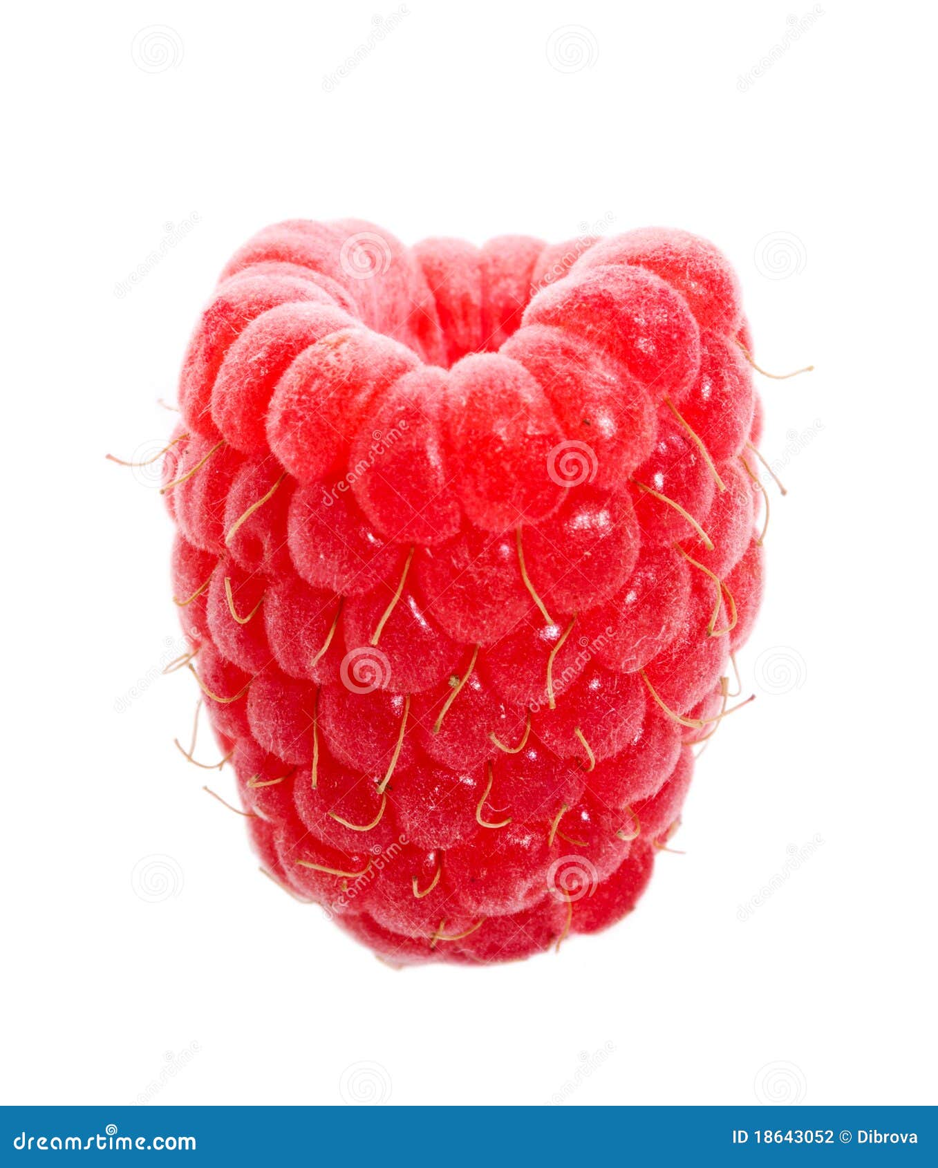 Raspberry stock photo. Image of background, closeup, single - 18643052