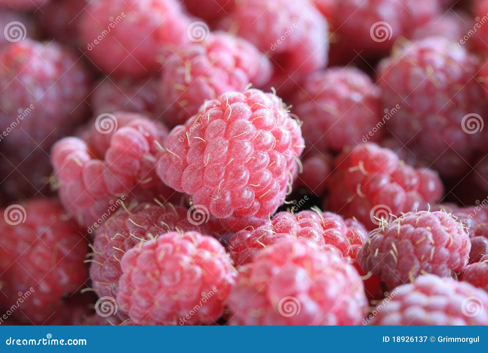 Raspberry stock image. Image of berries, heap, fresh - 18926137