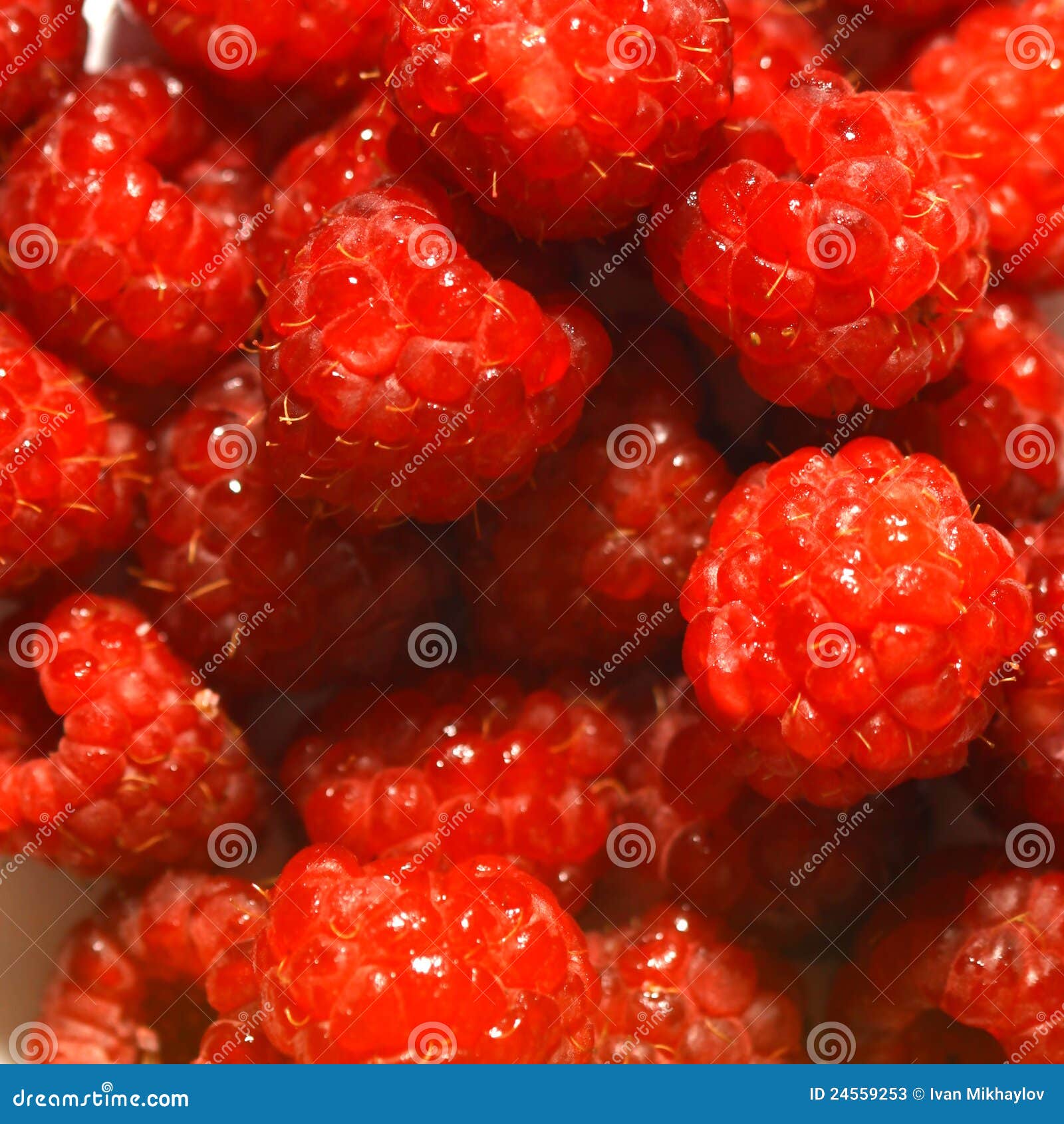 Raspberry stock image. Image of gourmet, dietary, bright - 24559253