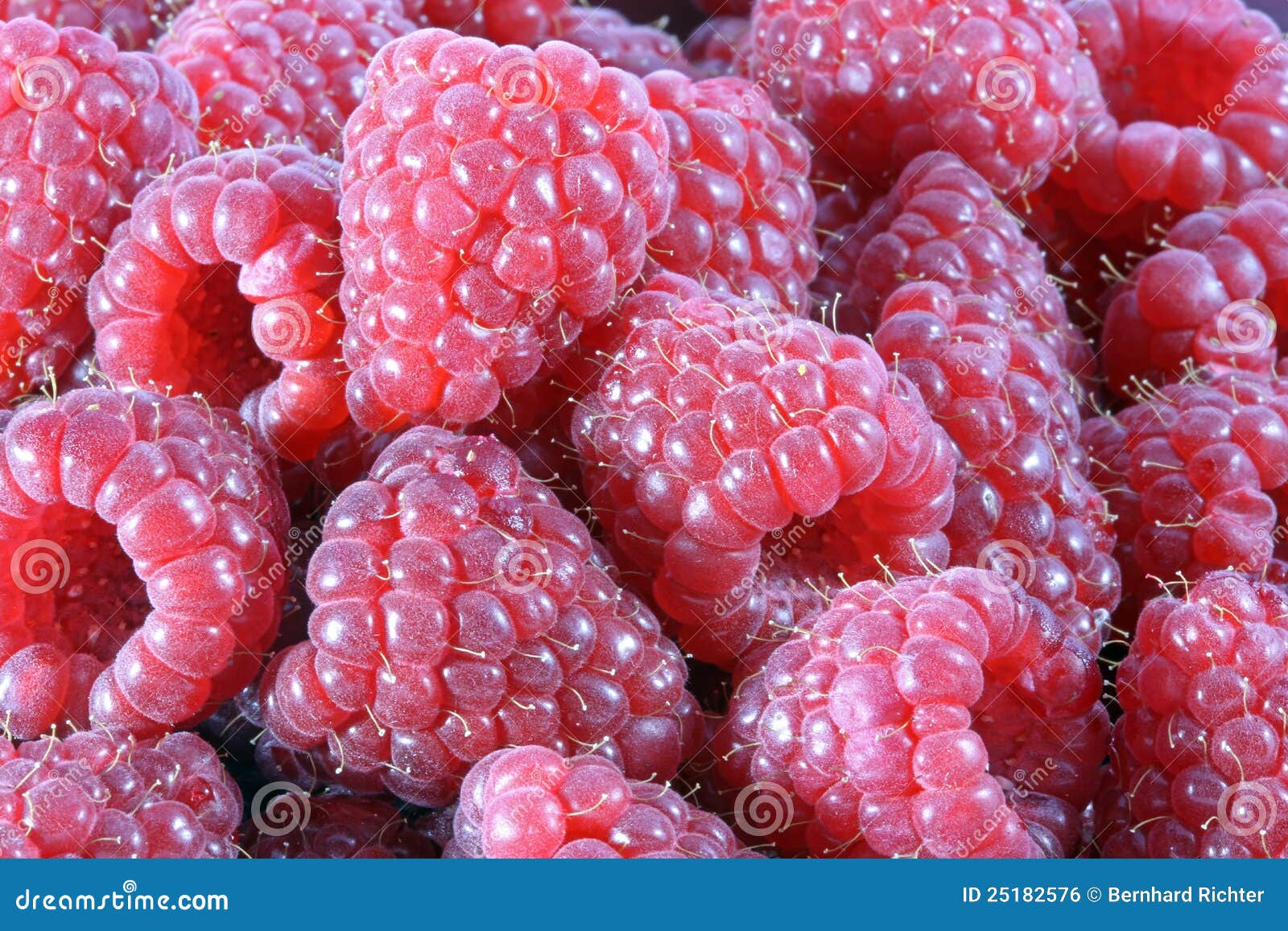 Raspberry stock photo. Image of harvest, raspberry, vegetarian - 25182576