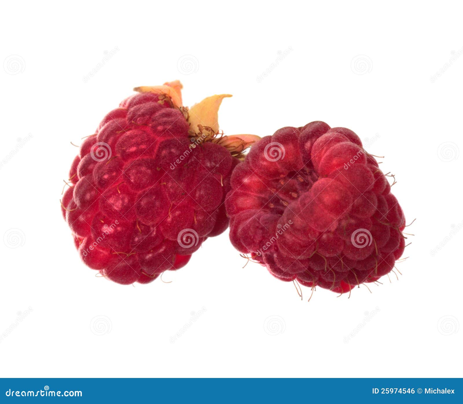 Raspberry stock photo. Image of green, background, juicy - 25974546