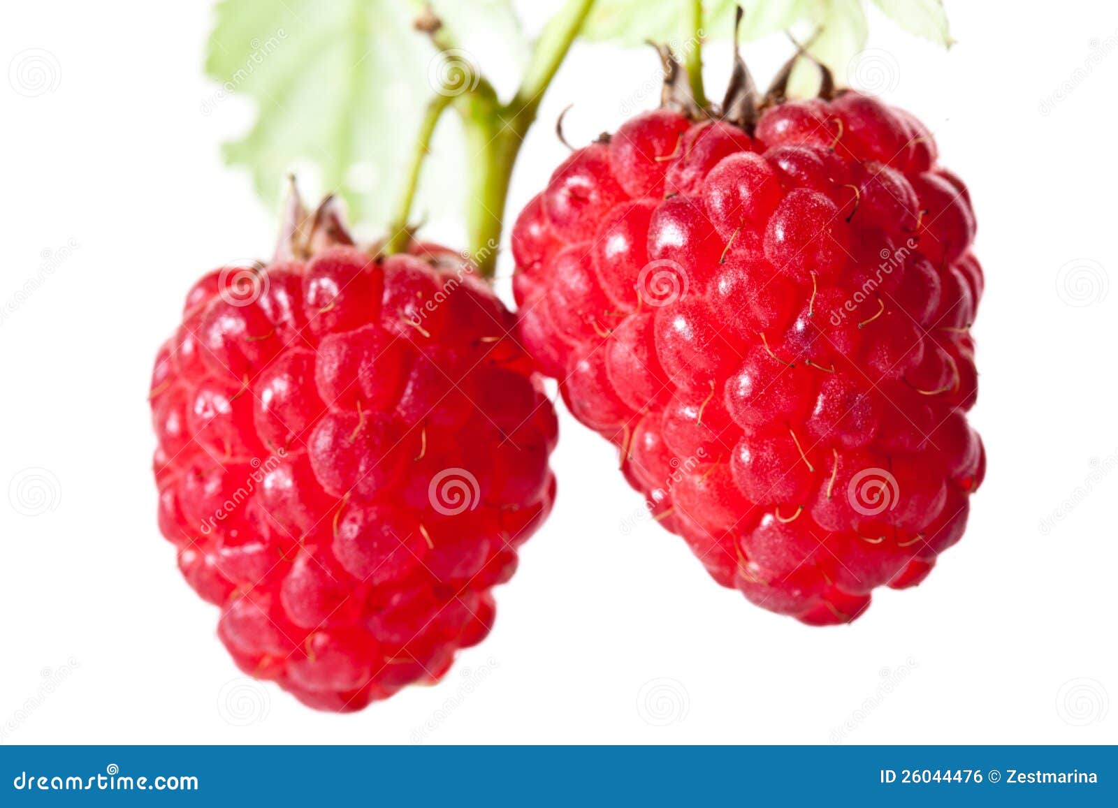 Raspberry stock photo. Image of fresh, appetizing, healthy - 26044476
