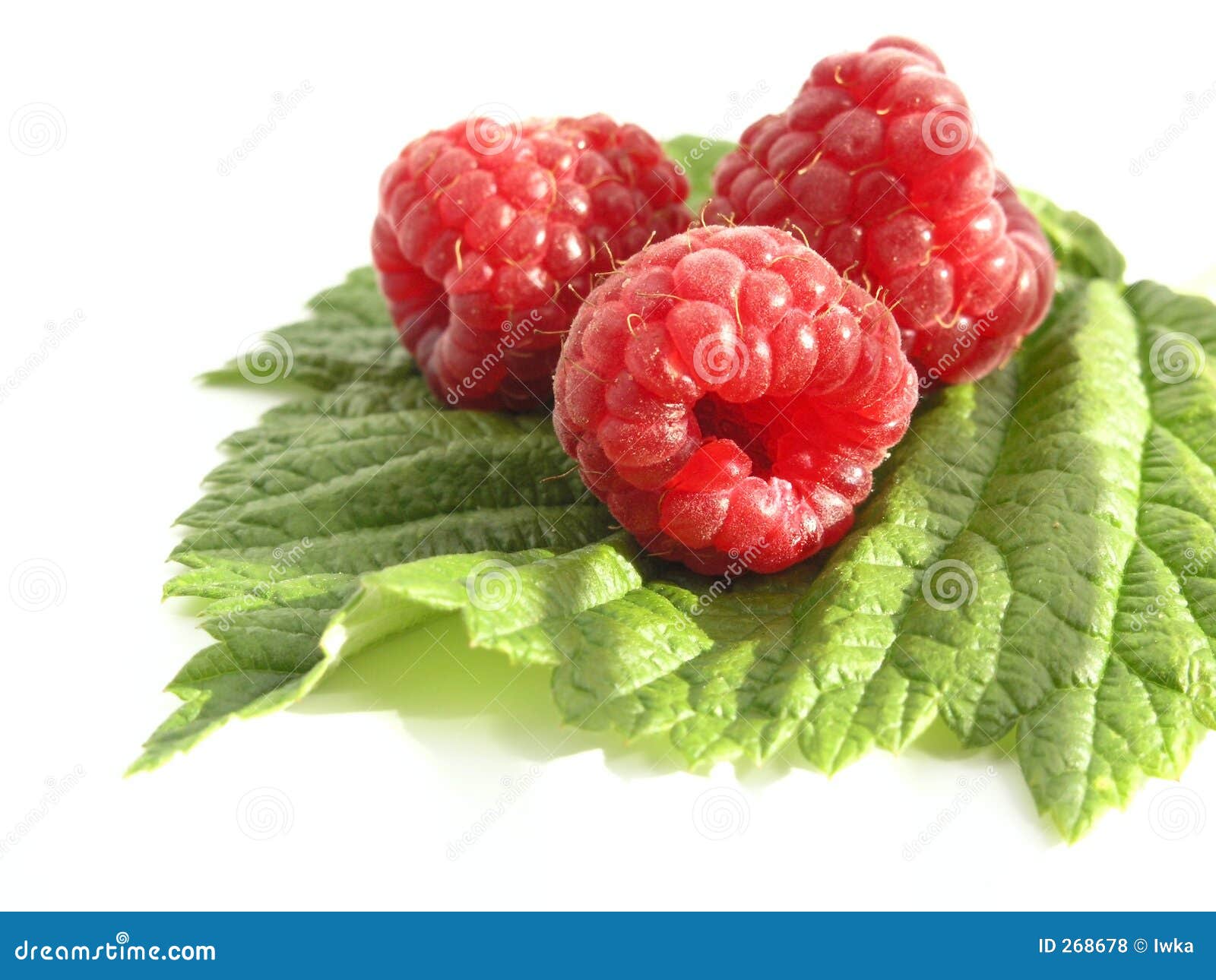 Raspberry stock photo. Image of fresh, outdoor, berries - 268678