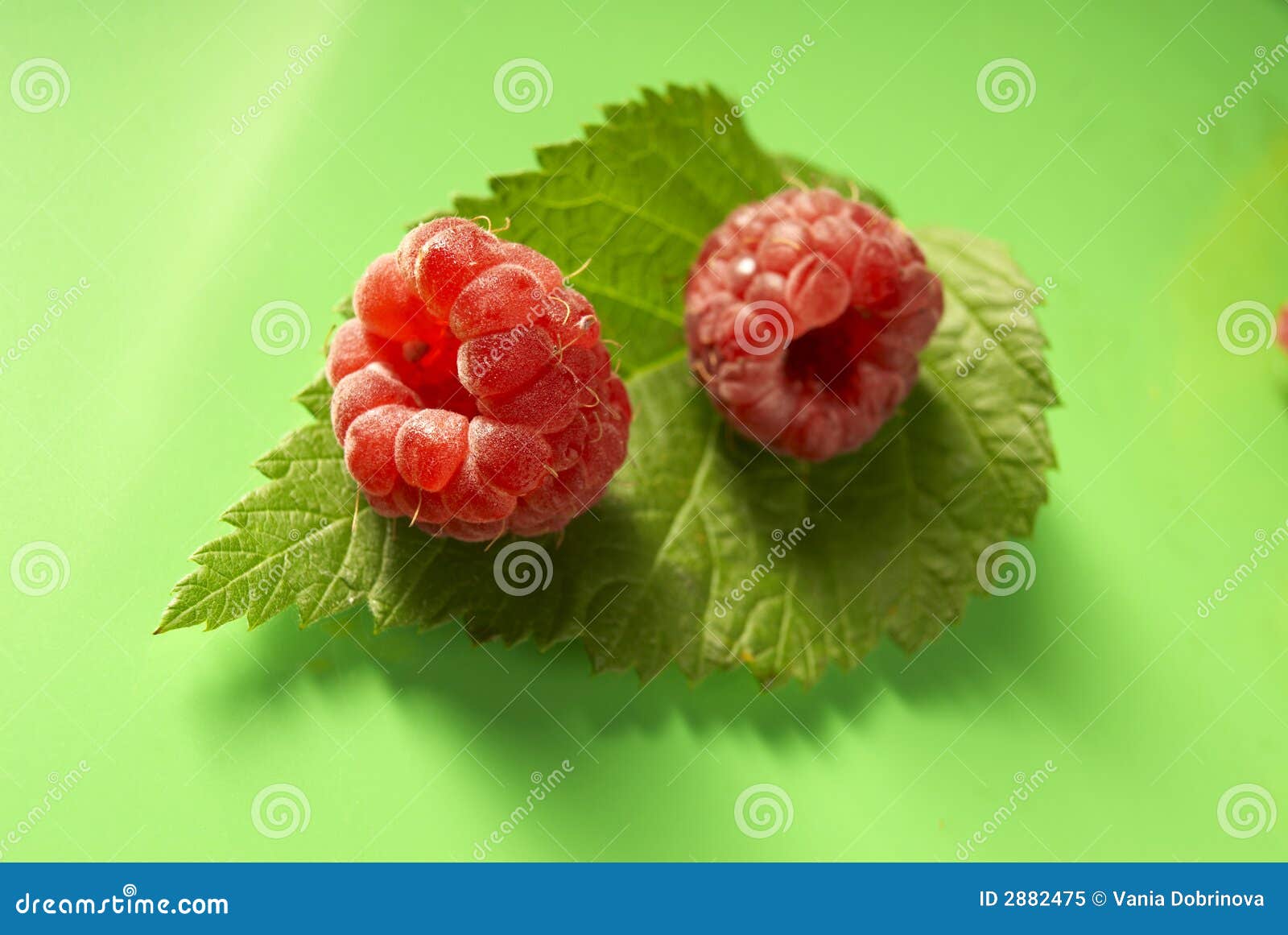 Raspberry stock image. Image of nature, snack, healthy - 2882475