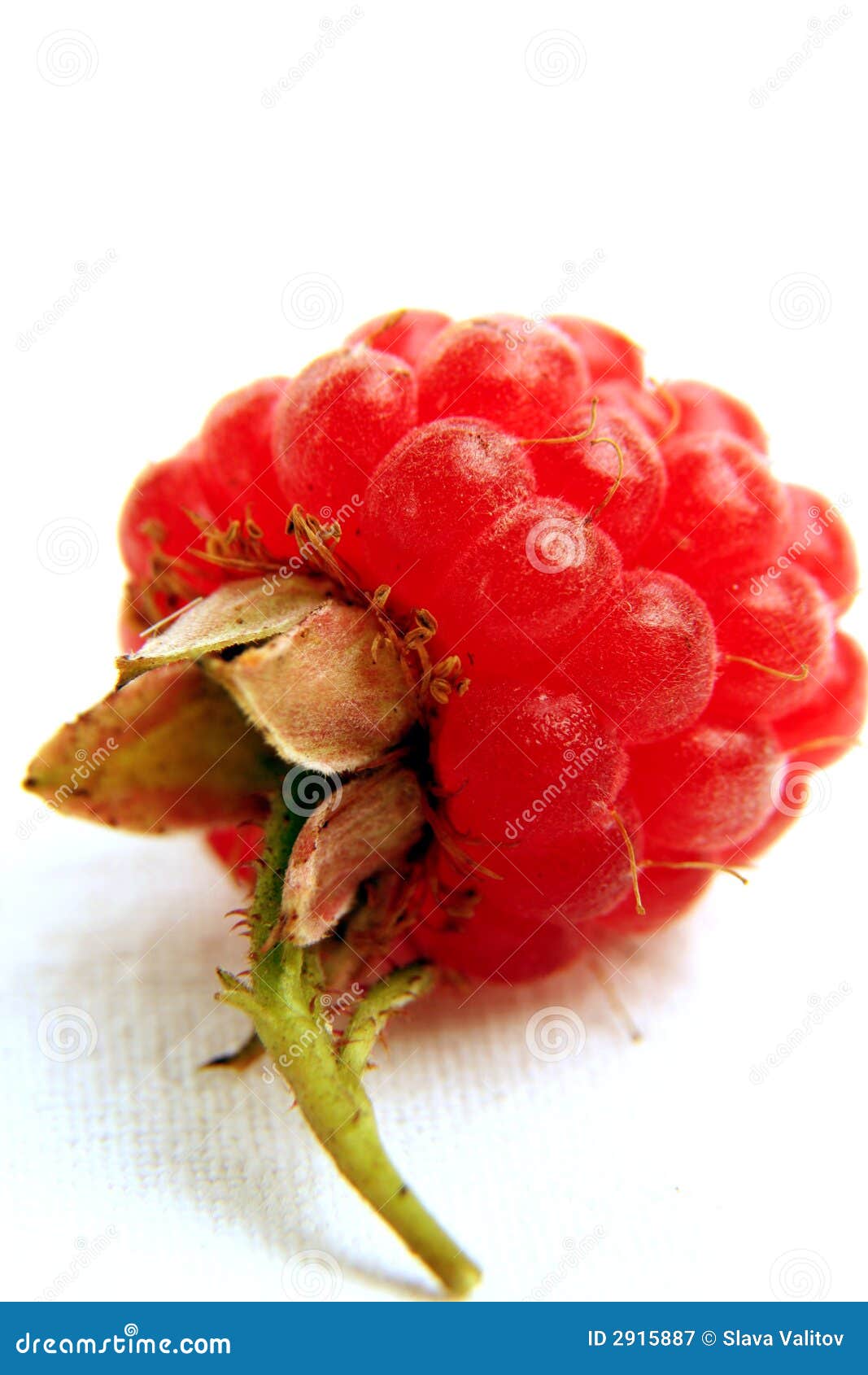 Raspberry stock image. Image of freshness, bunch, ornamental - 2915887