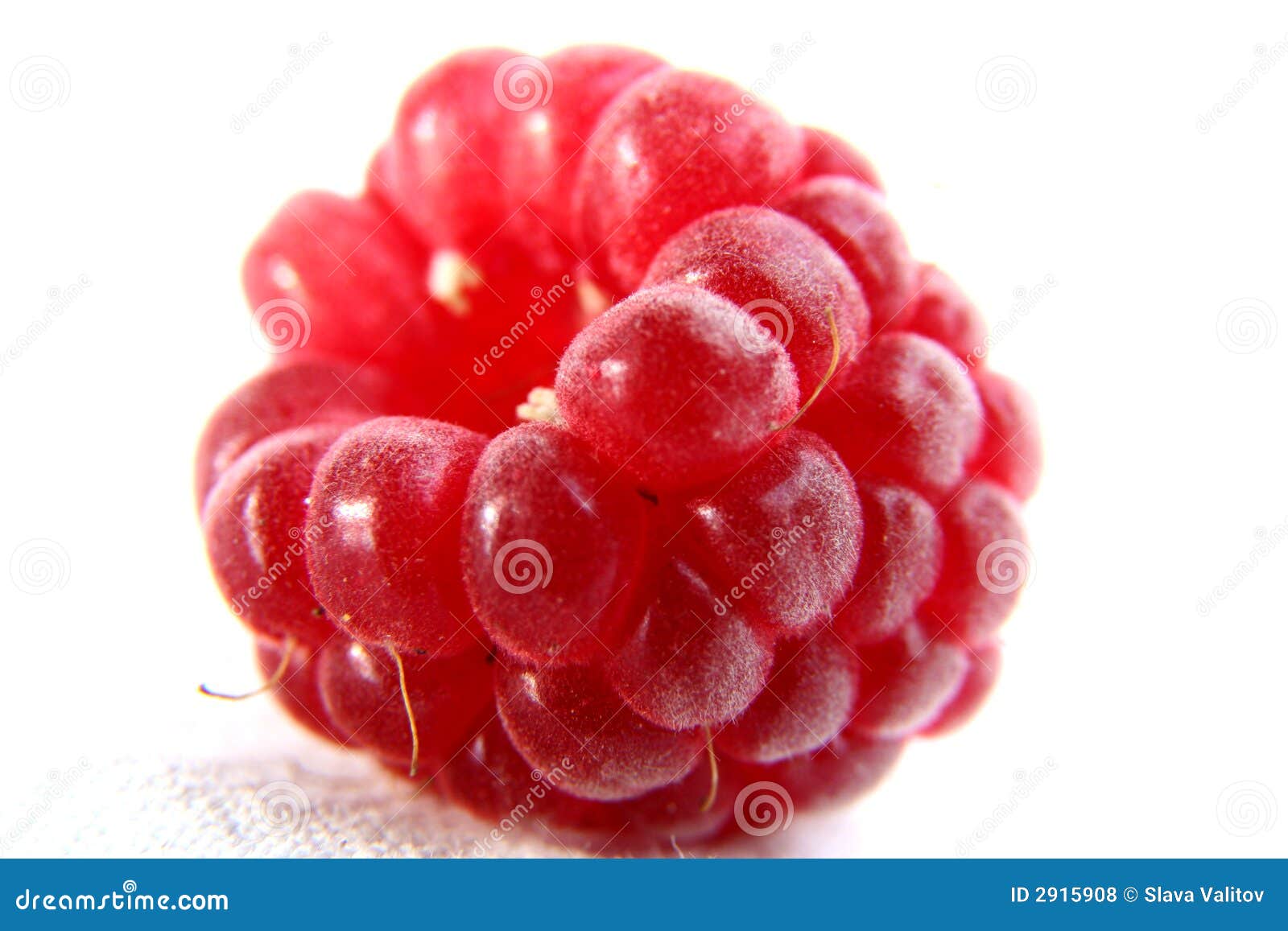 Raspberry stock photo. Image of outdoors, dieting, pattern - 2915908
