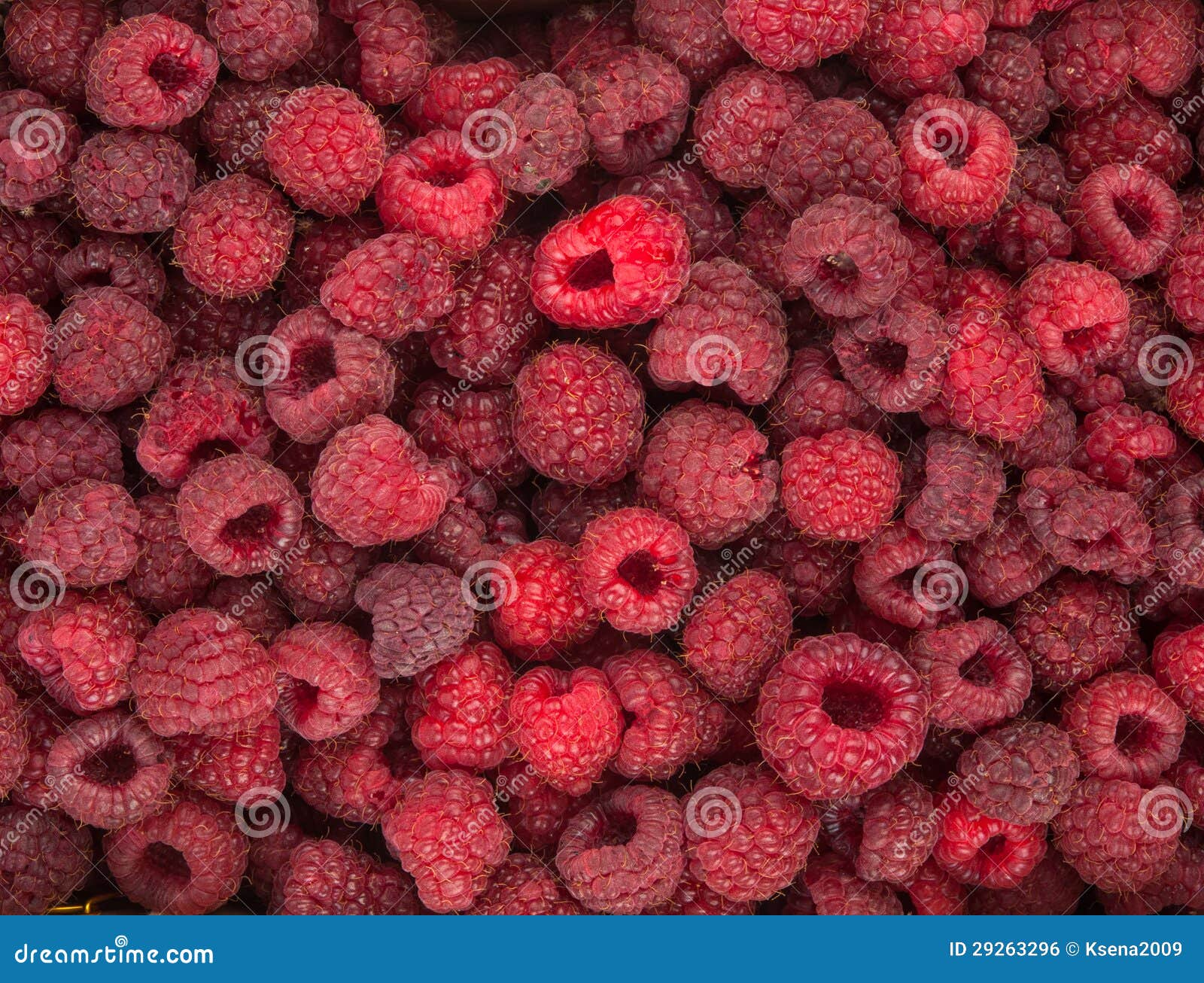 Raspberry stock photo. Image of organic, lifestyle, fruit - 29263296