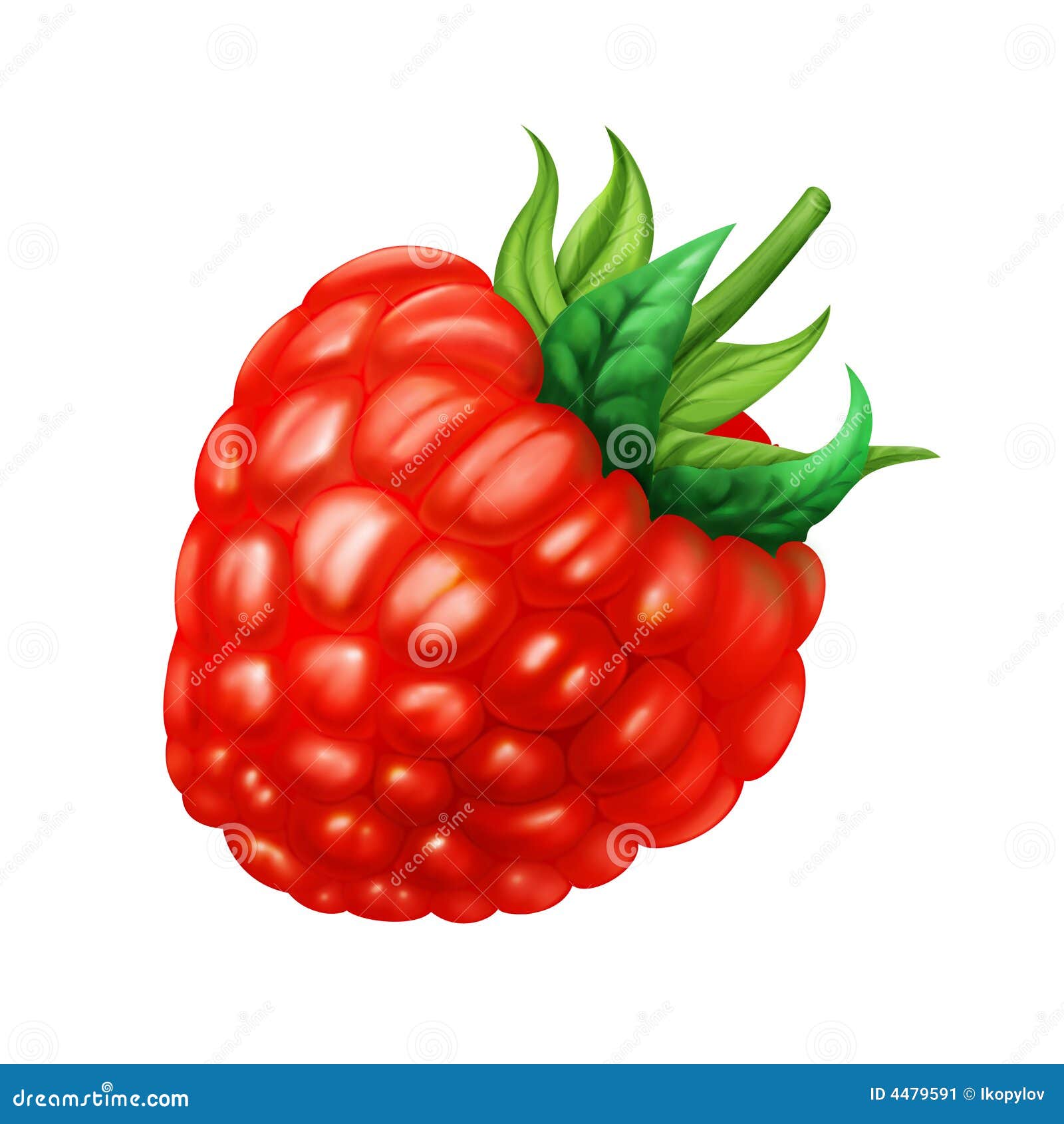 Raspberry stock illustration. Illustration of background - 4479591