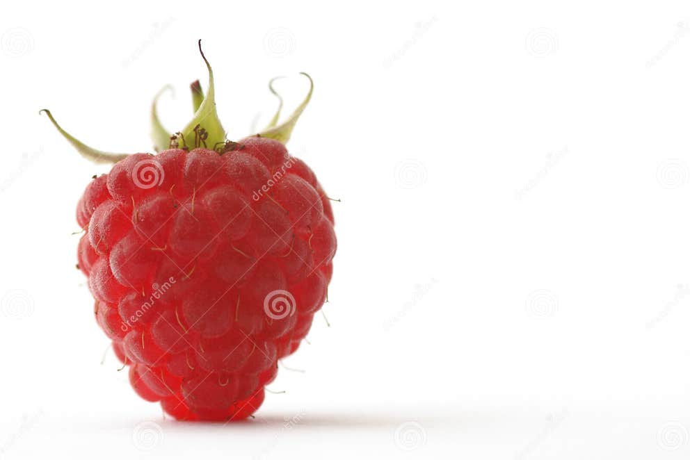 Raspberry stock photo. Image of heatly, jelly, breakfast - 4717862