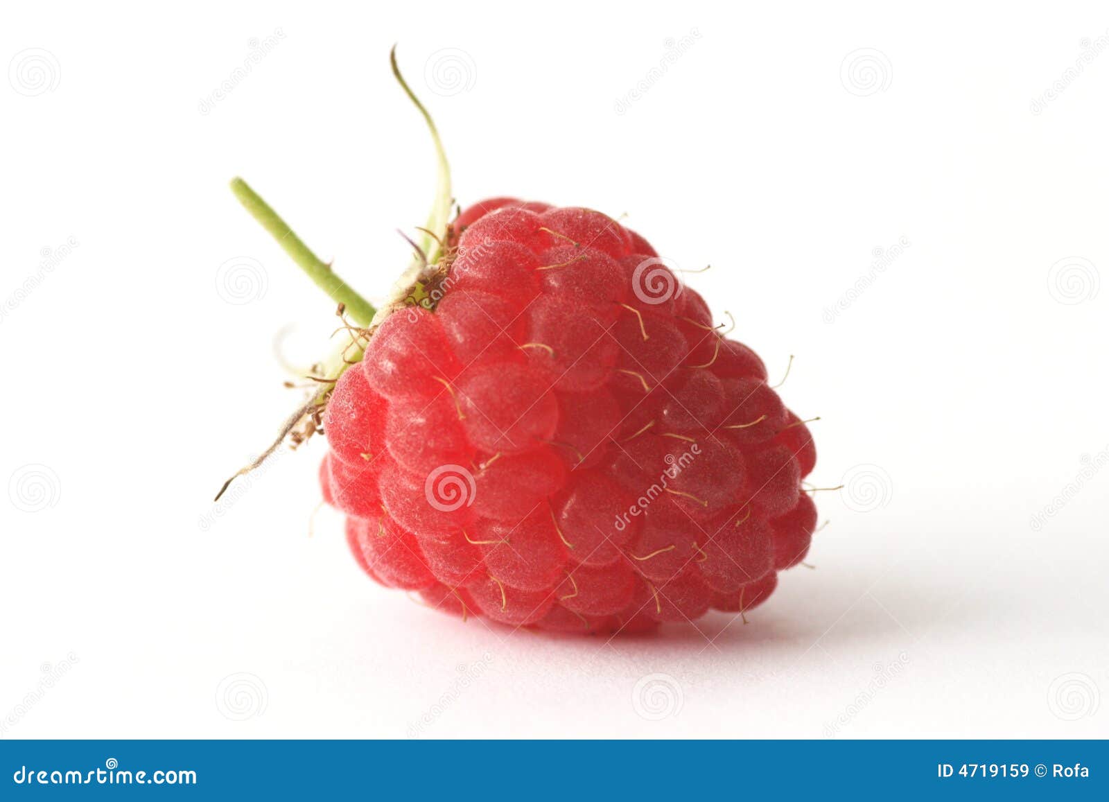 Raspberry stock image. Image of vitamins, raspberry, fresh - 4719159