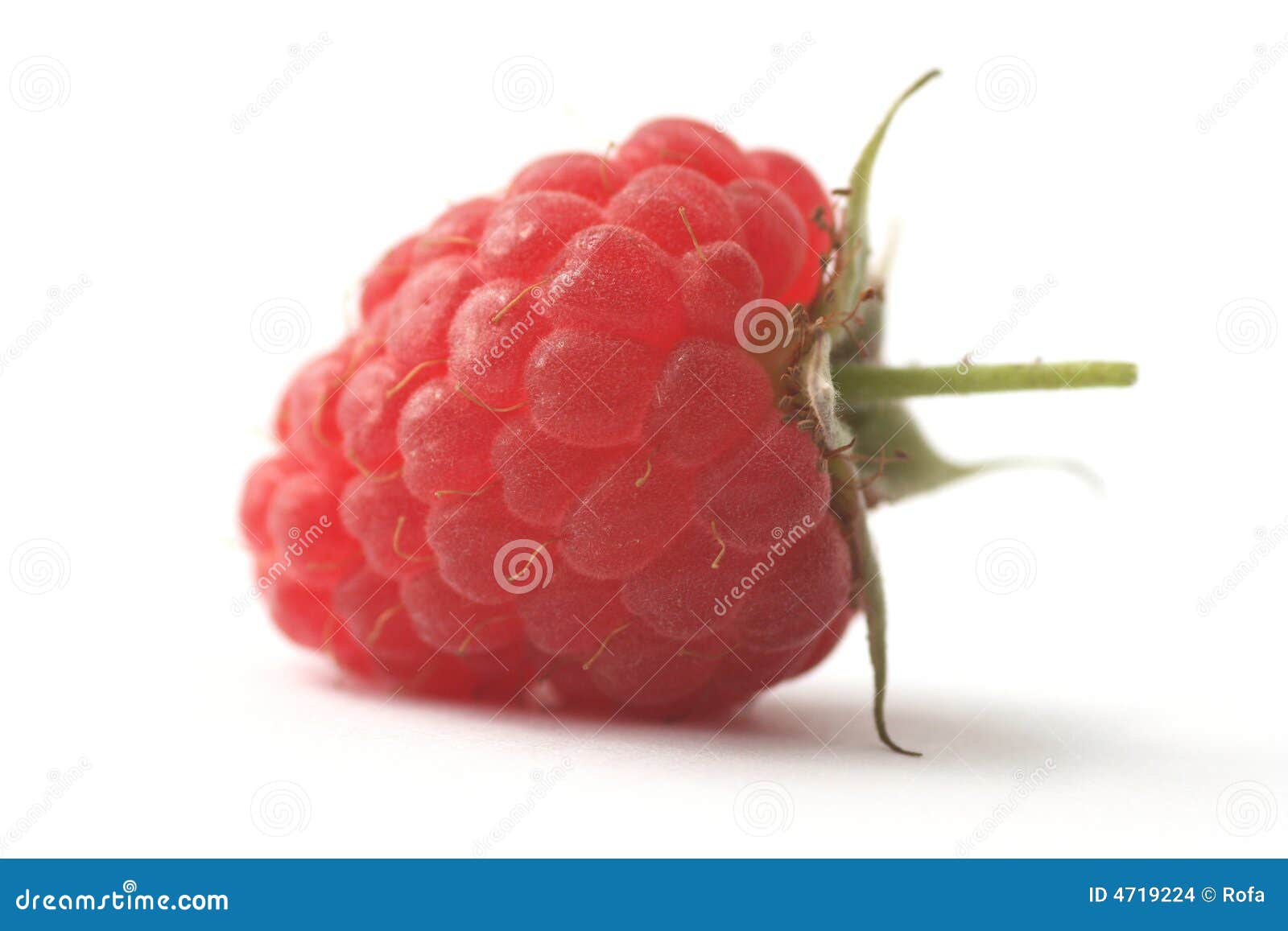 Raspberry stock photo. Image of isolated, delicious, vitamins - 4719224