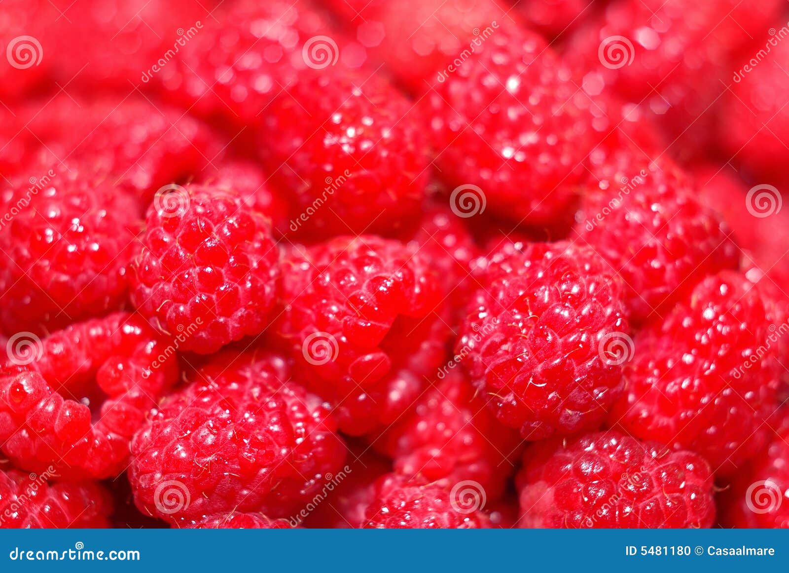 Raspberry stock photo. Image of freshness, sweet, raspberries - 5481180