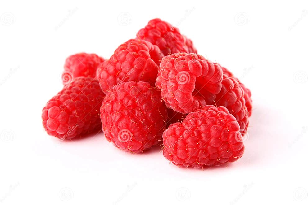 Raspberry stock image. Image of white, plant, sweet, pink - 5578089