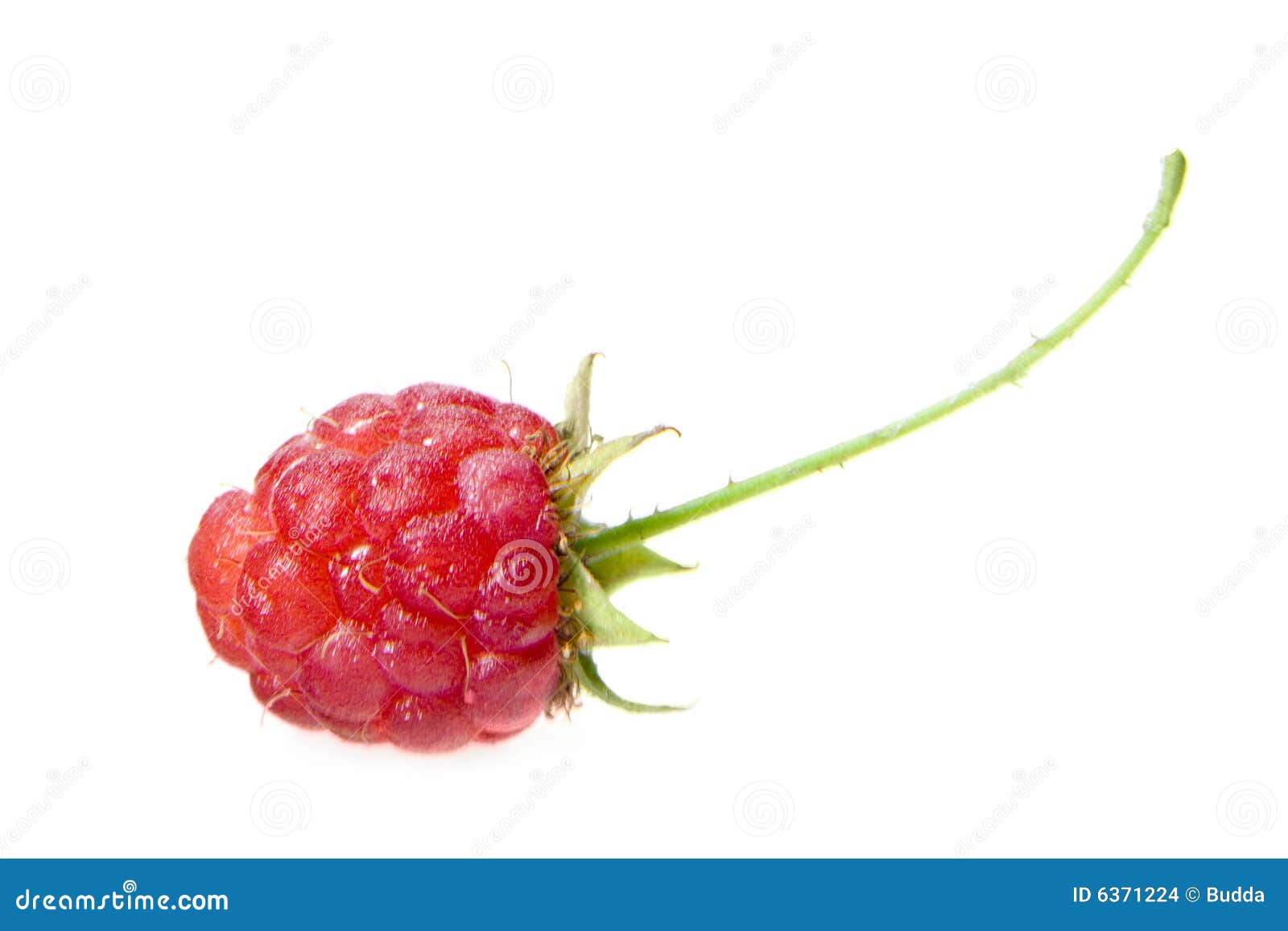 Raspberry stock photo. Image of pink, healthy, lifestyle - 6371224