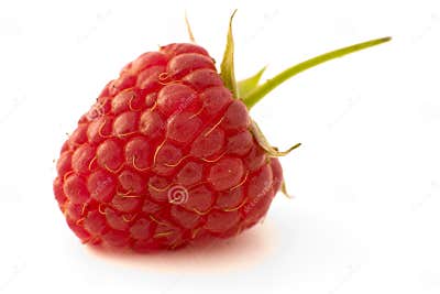 Raspberry stock photo. Image of healthy, eating, close - 6403034