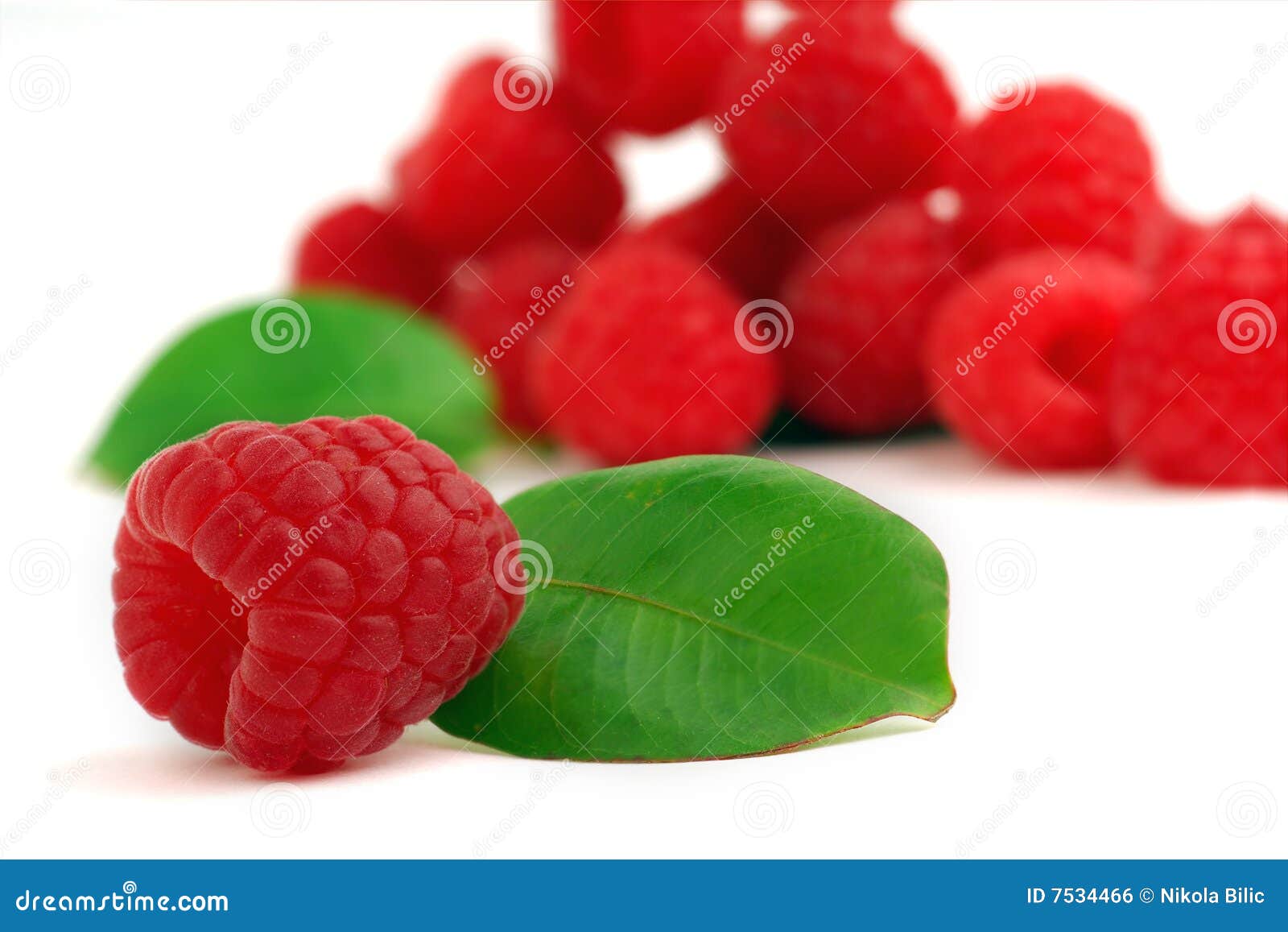 Raspberry stock photo. Image of healthy, dessert, ripe - 7534466